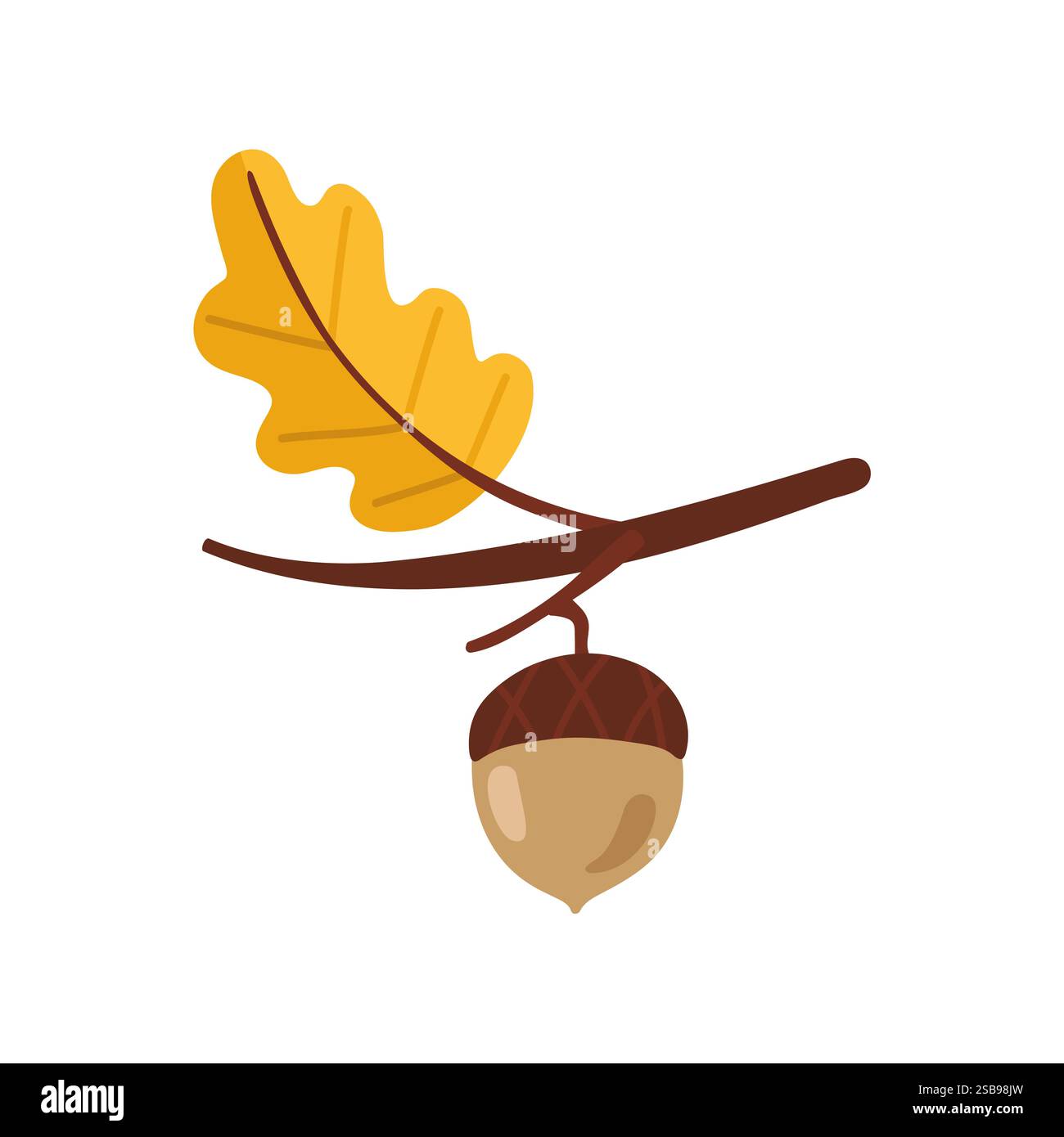 Vector cartoon illustration of acorns on a branch Stock Vector Image ...