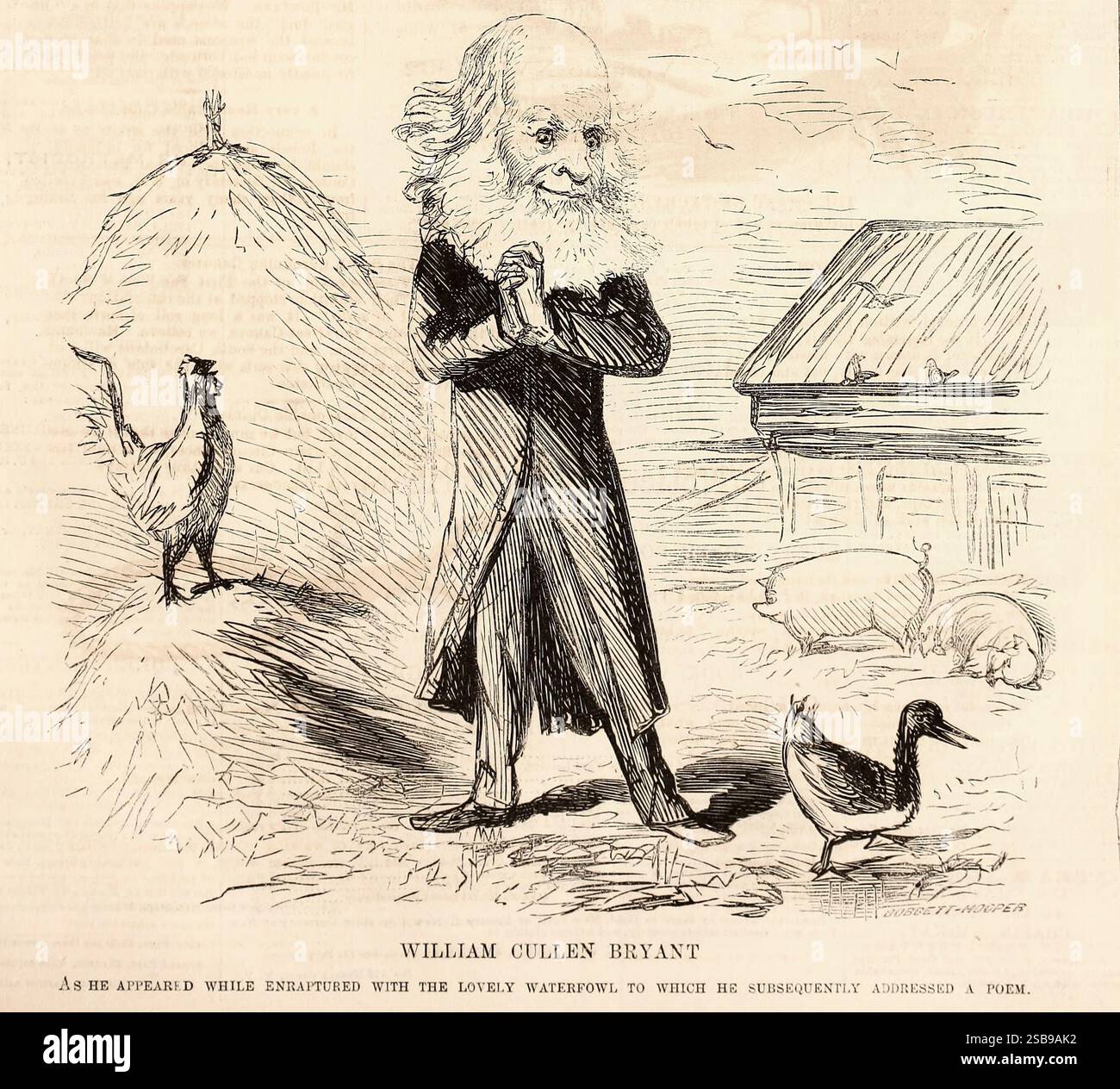 Waterfowl sketch hi-res stock photography and images - Alamy