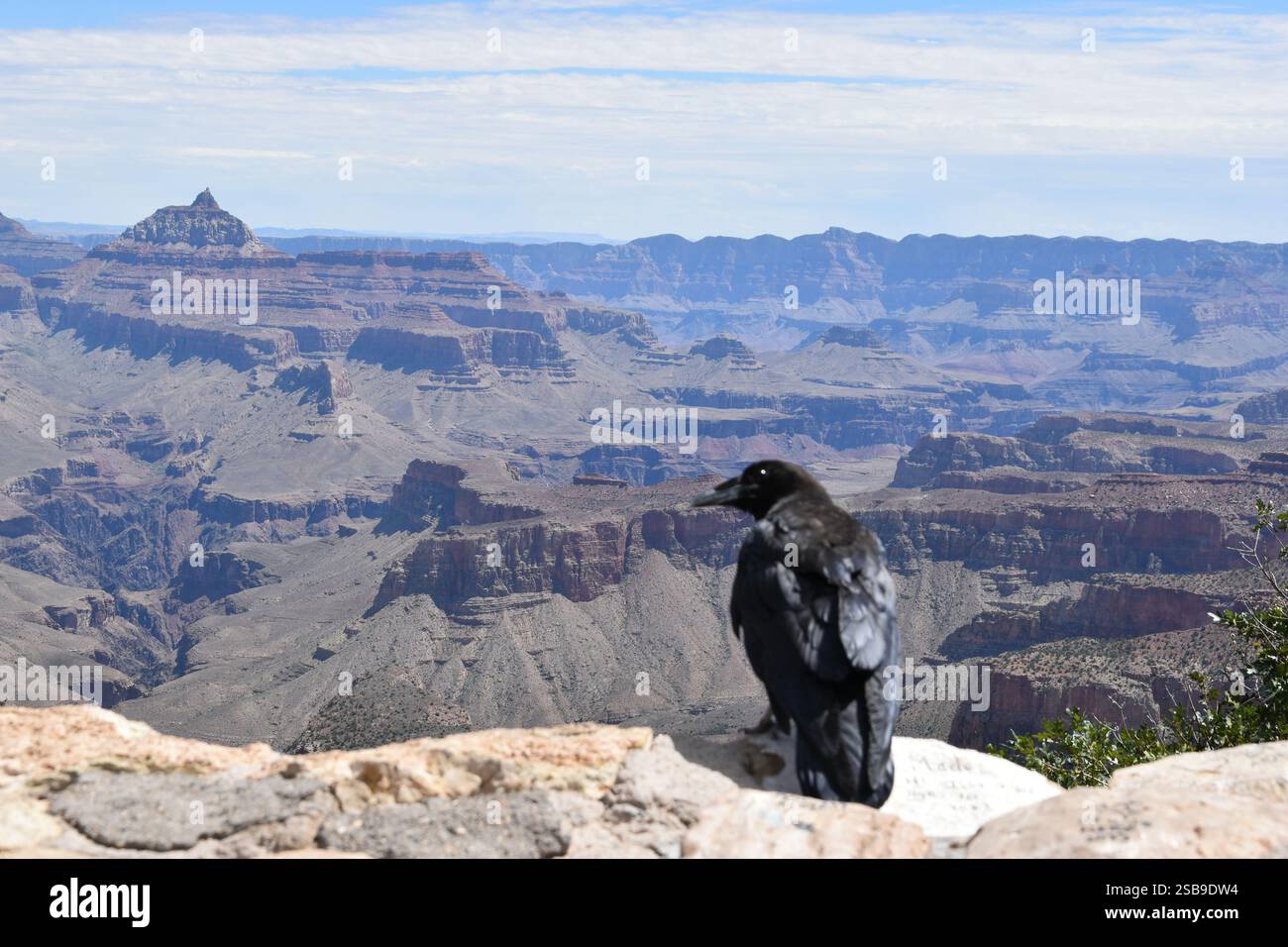 The Grand Canyon as seen from the Southern Rim from the Village to Hopi ...