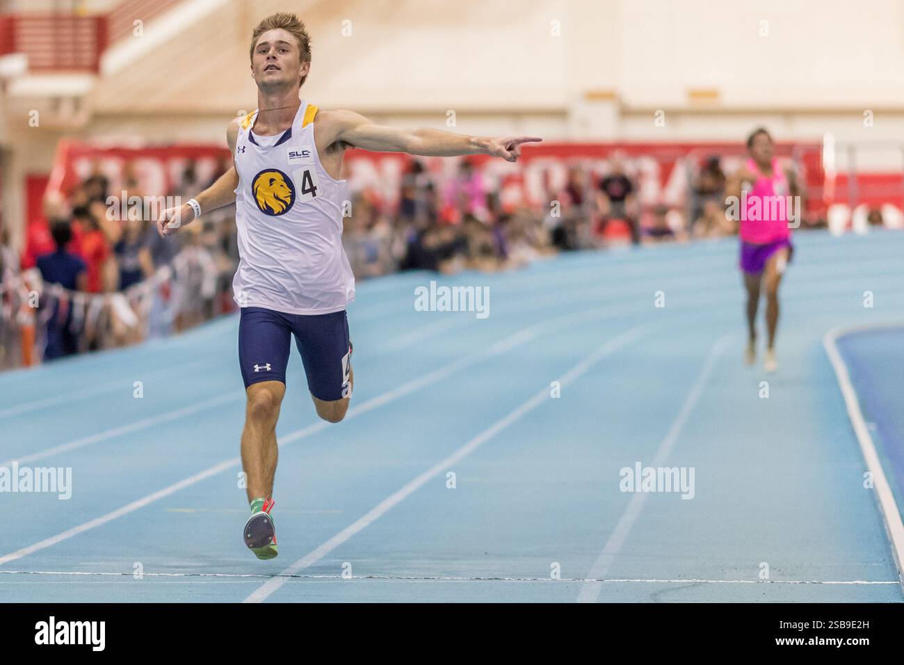 James houston lions hi-res stock photography and images - Alamy