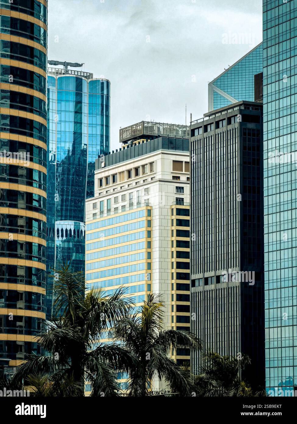 A cluster of modern skyscrapers in Hong Kong, showcasing a variety of ...