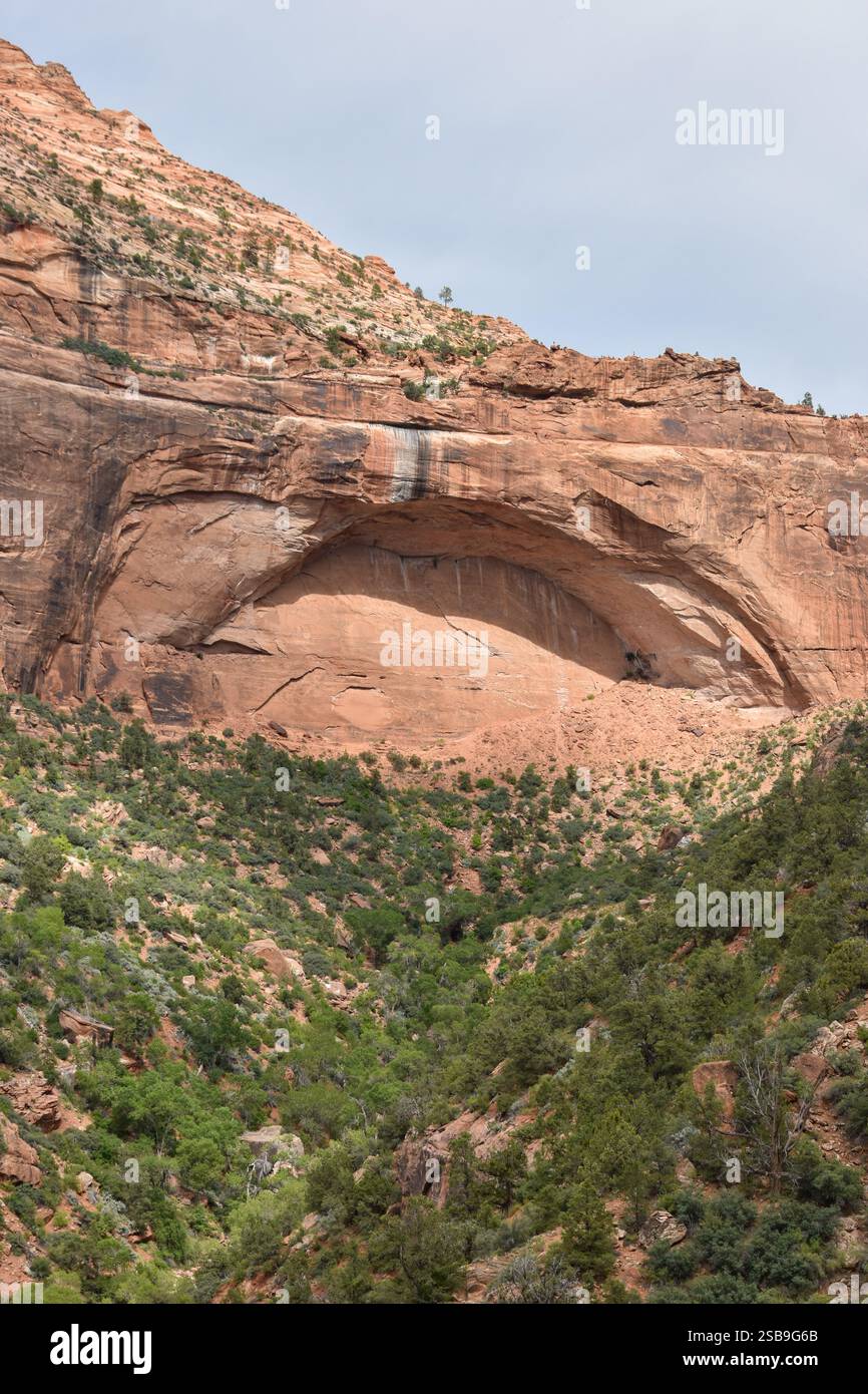 Zion National Park, known for its towering sandstone cliffs, diverse ...