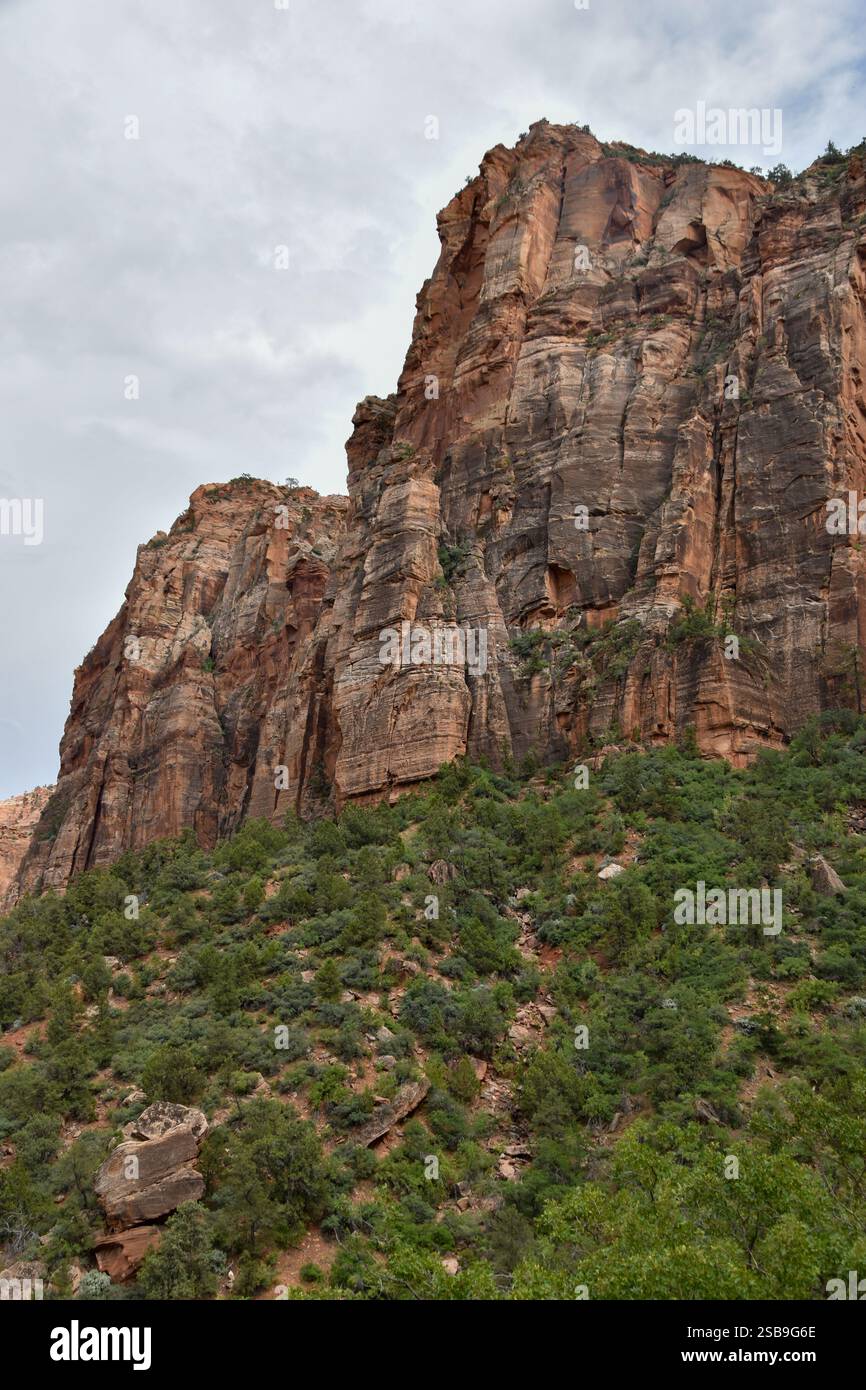 Zion National Park, known for its towering sandstone cliffs, diverse ...