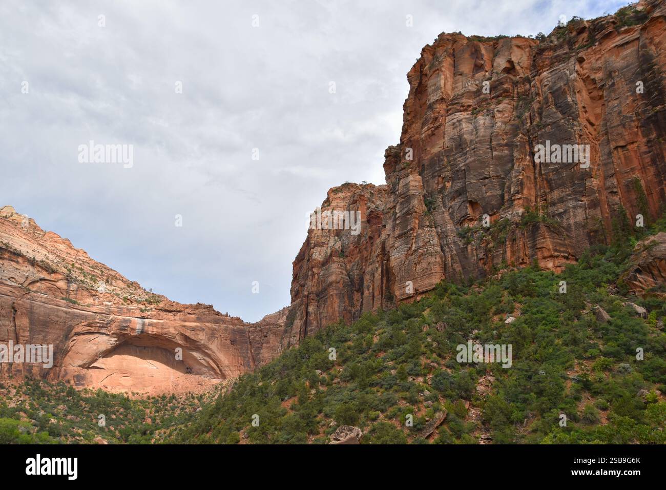 Zion National Park, known for its towering sandstone cliffs, diverse ...