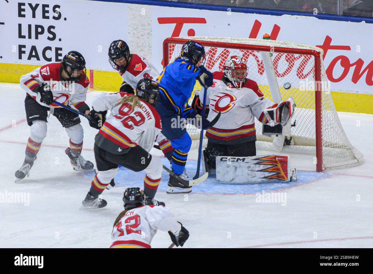 Toronto, ON, Canada – February 1, 2025: #33 Gwyneth Philips goalie of ...