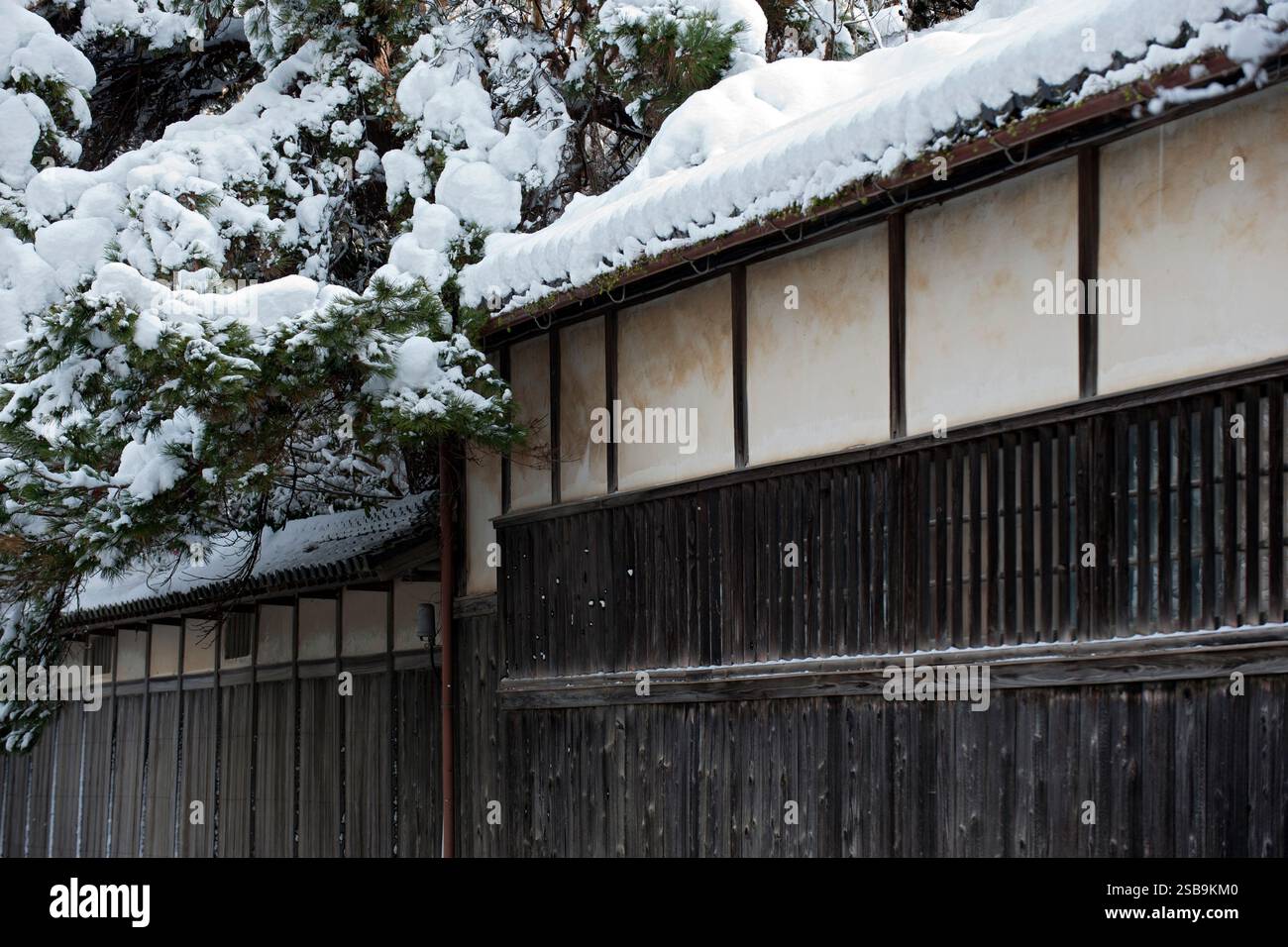 Winter scene with snow covering a tile roof wall and snow laden pine ...