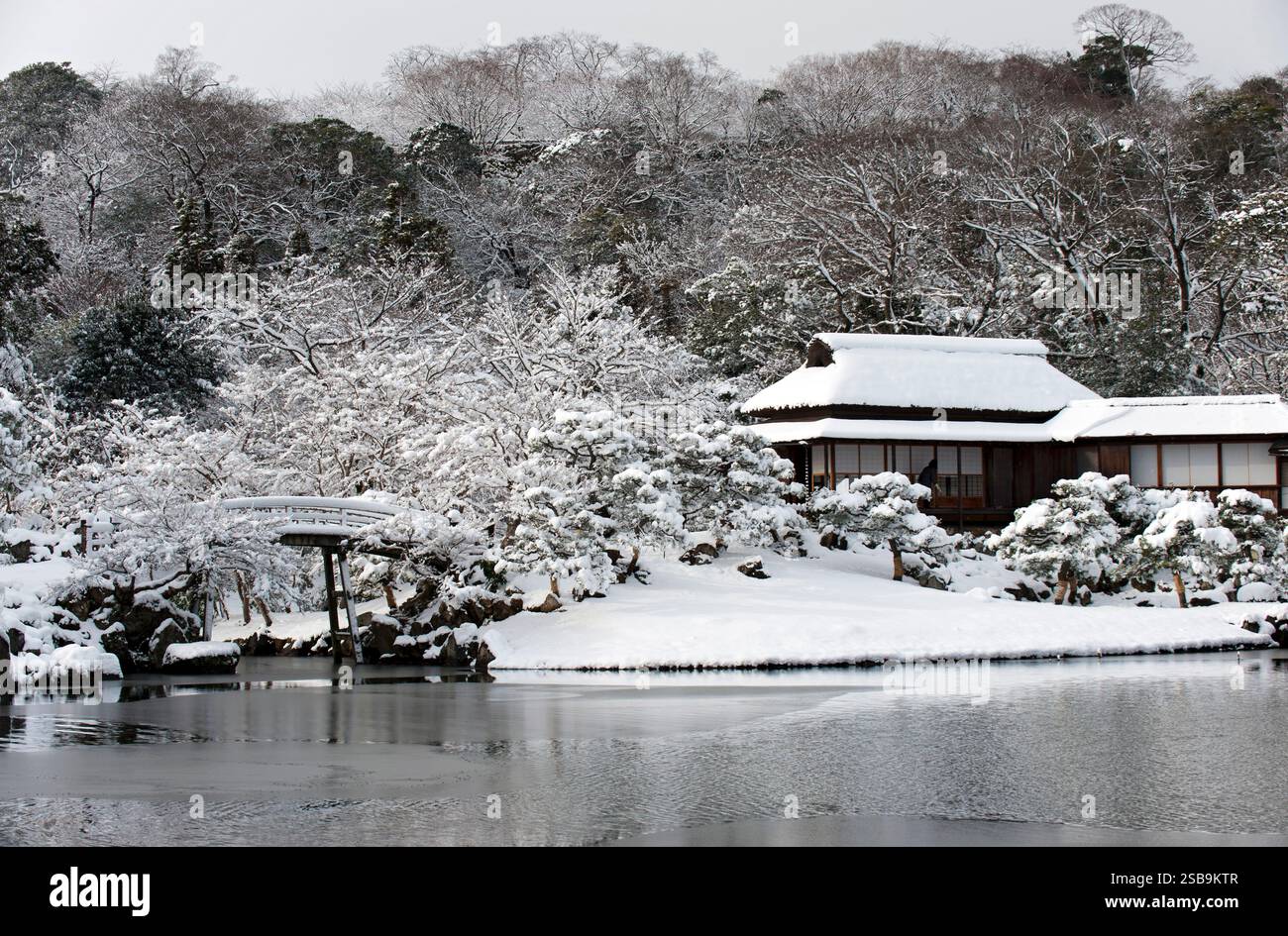 Snowy winter scene at Hikone Castle Genkyuen landscape garden in Hikone ...