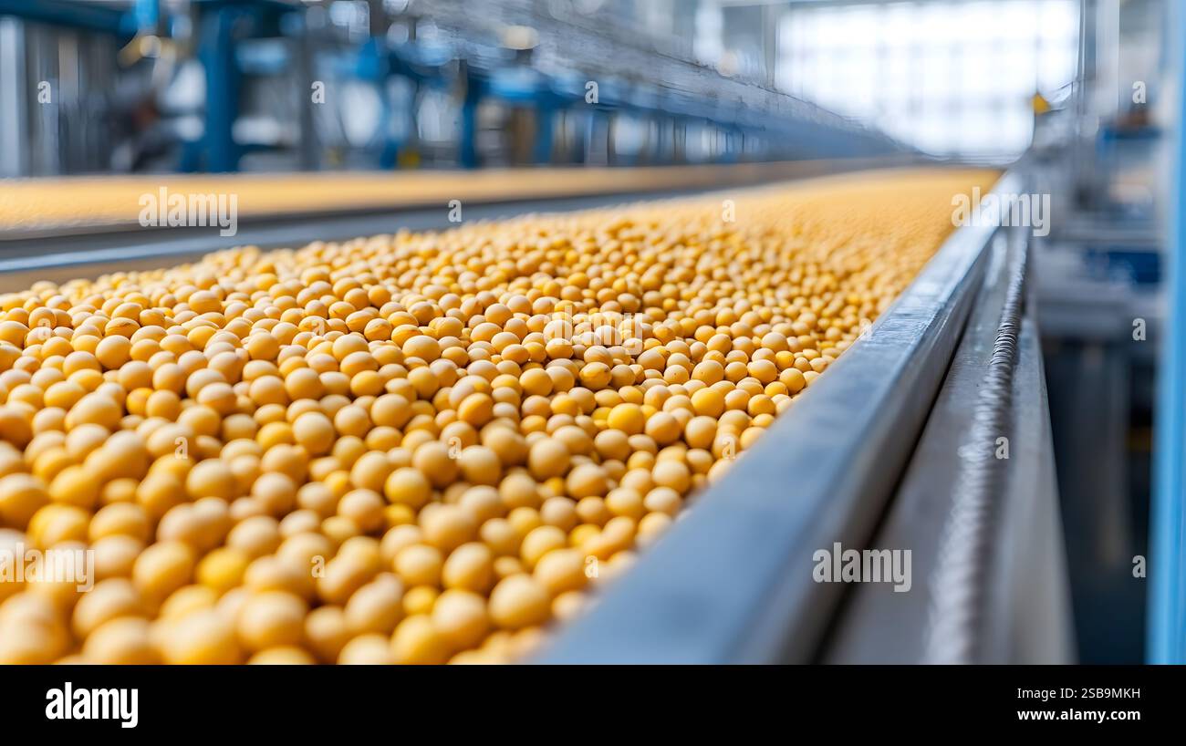 Efficient Soybean Oil Production at Modern Factory Assembly Line with ...