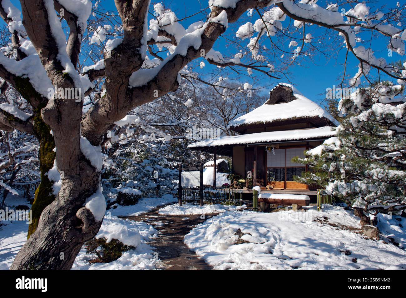 Snowy winter scene at Hikone Castle Genkyuen Garden teahouse in Hikone ...