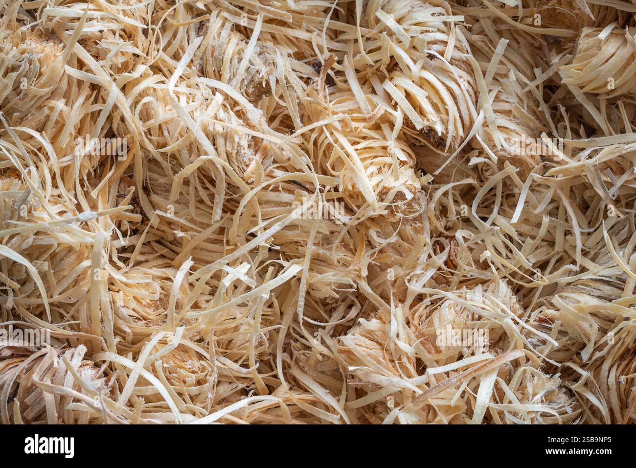 Ecological kindling for stove, fireplace, grill, and campfire Stock ...