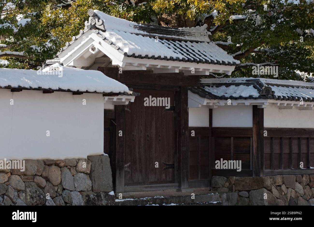 Winter scene with snow covering a tile roof wall and snow laden pine ...