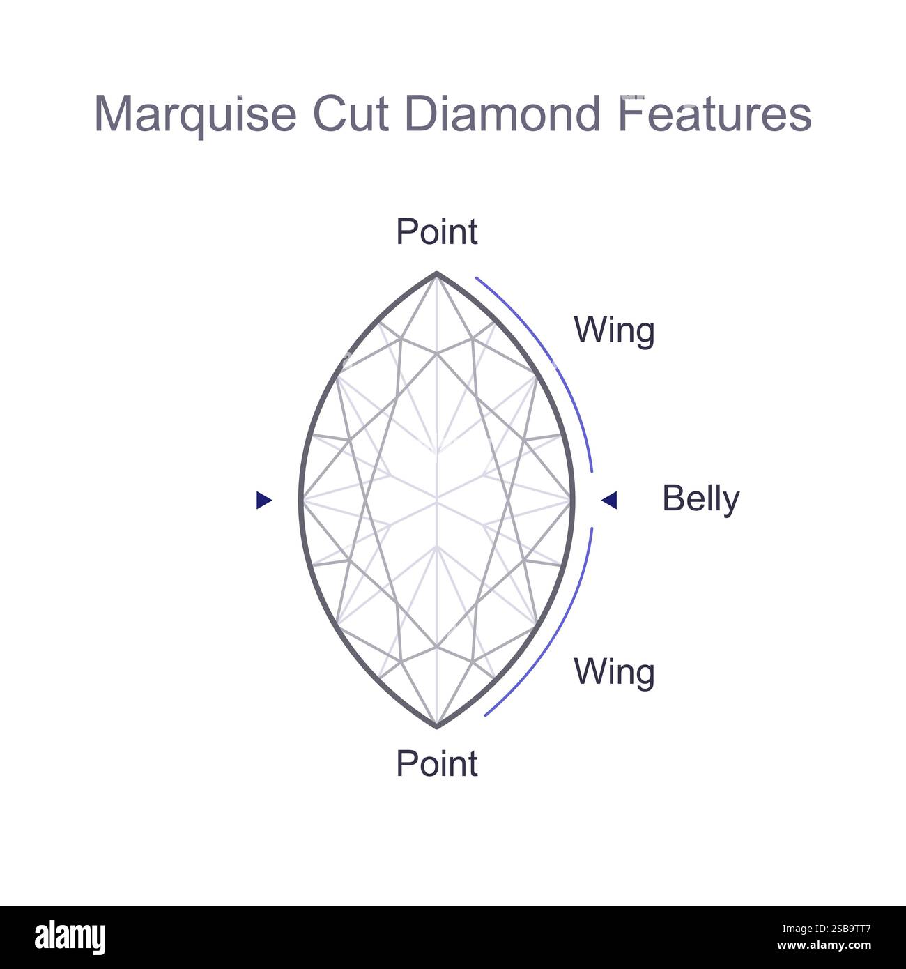 Marquise cut precious gemstone anatomy, parts and their names. Outline ...