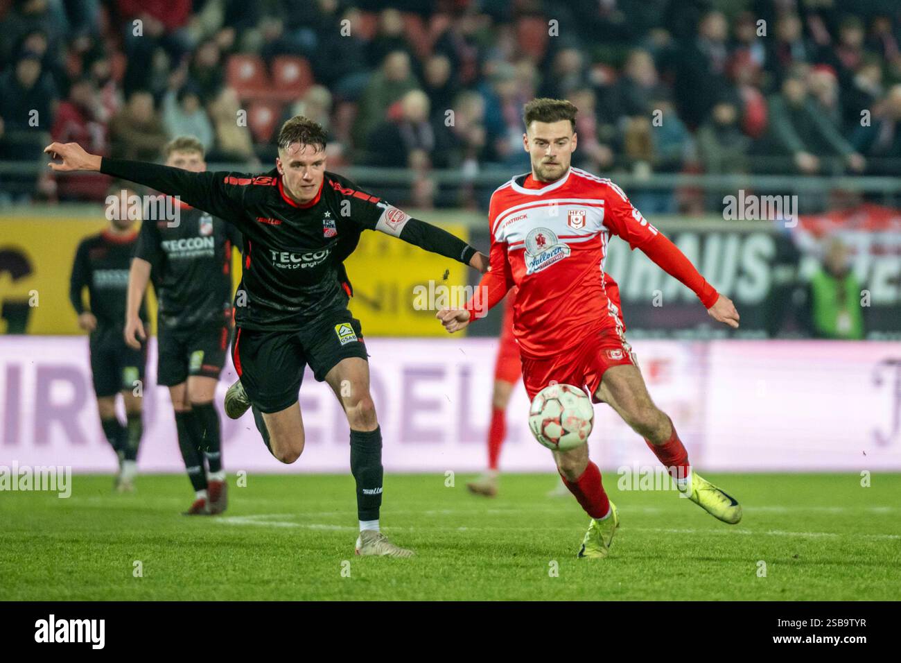 Halle, Deutschland. 01st Feb, 2025. Halle, Deutschland 01. Februar 2025 ...