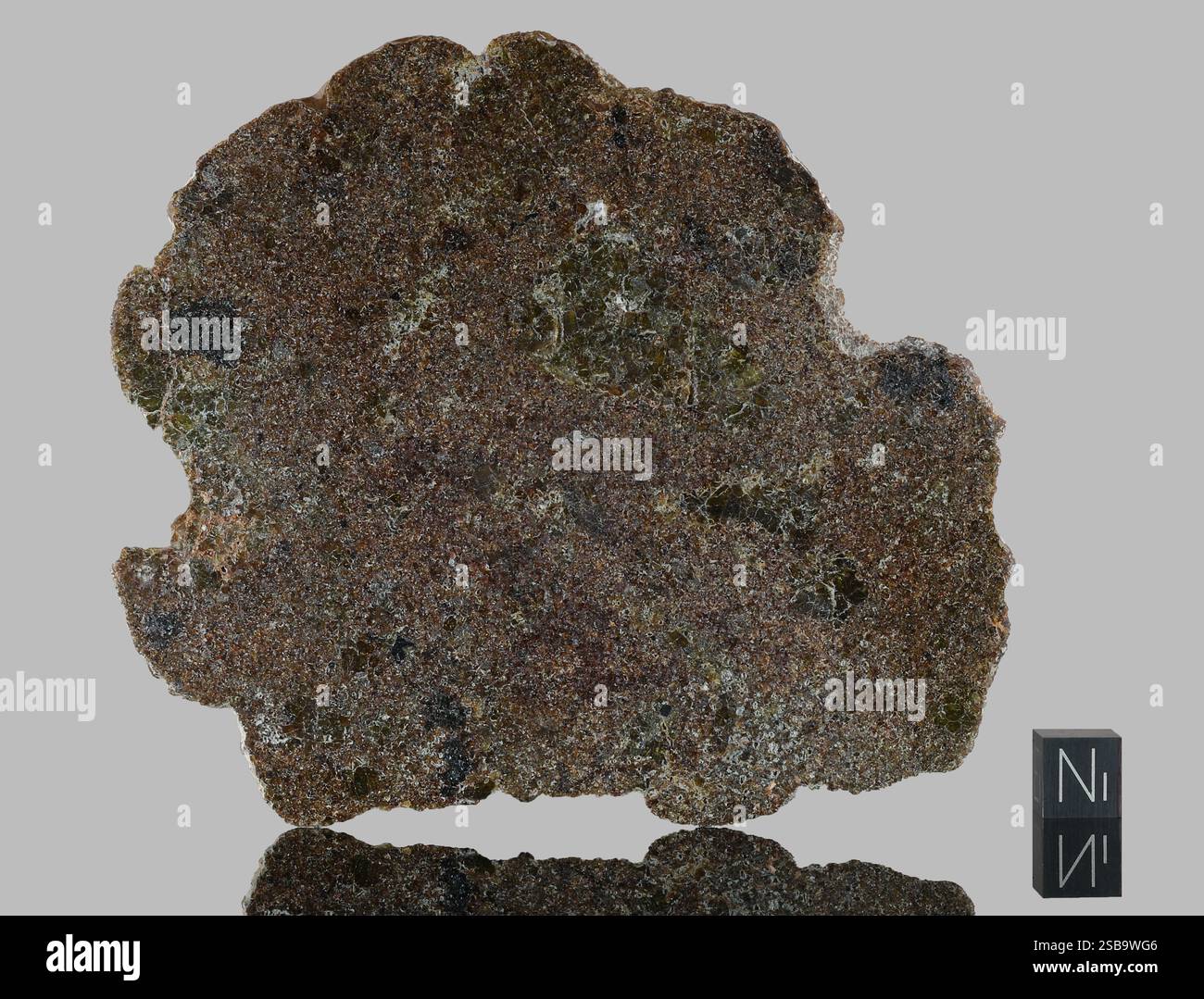 Breccia meteorite hi-res stock photography and images - Alamy