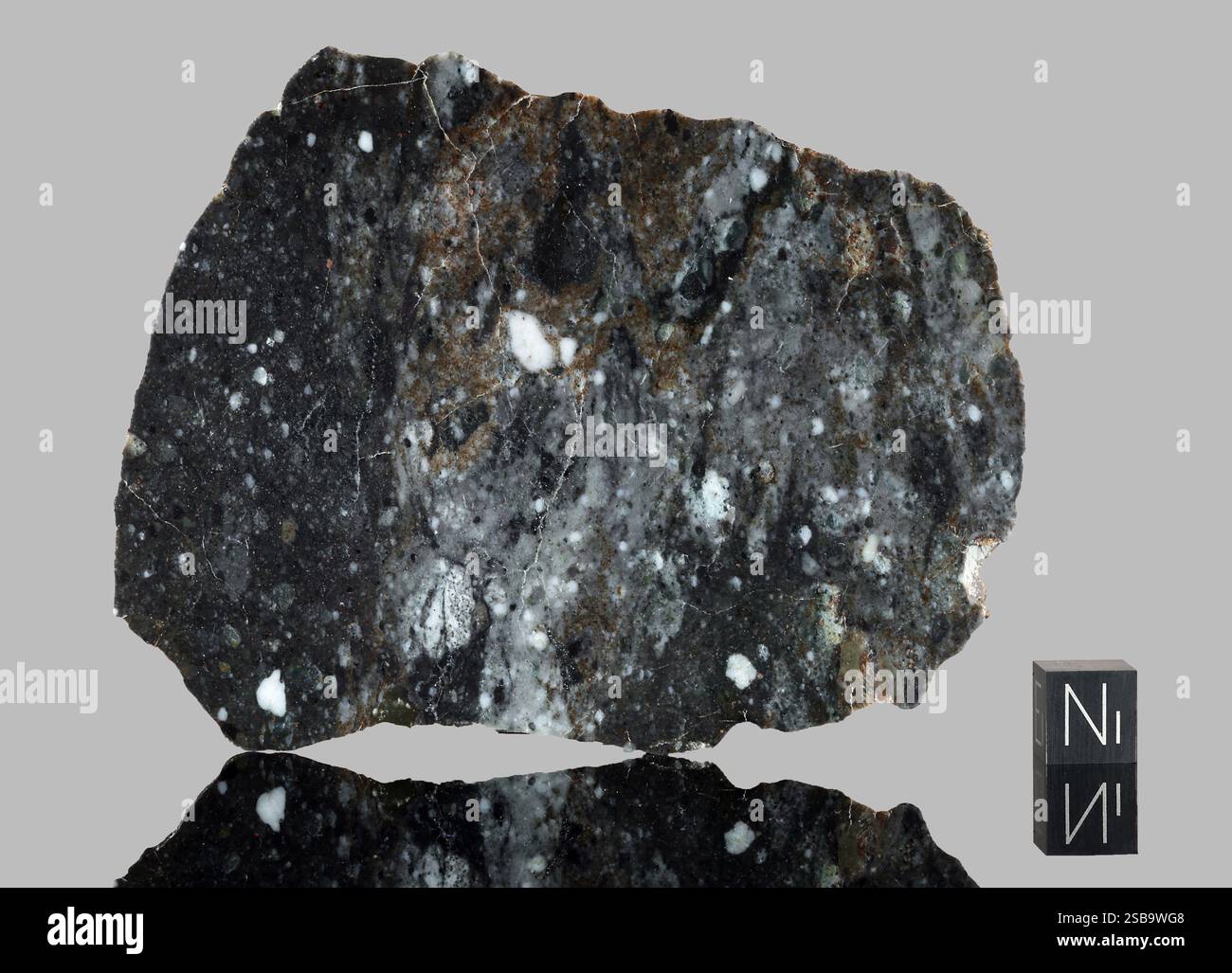 Slice of lunar meteorite in classification Stock Photo - Alamy