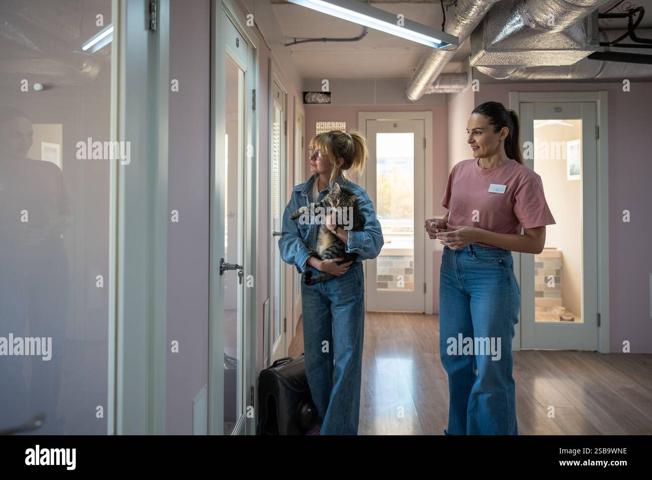 Owner visit pet hotel to check in cat with staff welcome. Service ...