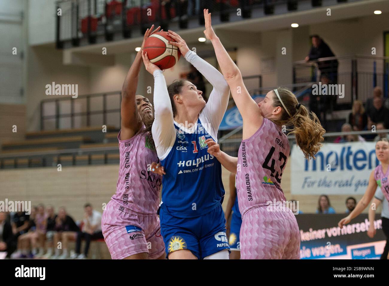 Halle, Deutschland. 01st Feb, 2025. Halle, Deutschland 01. Februar 2025 ...