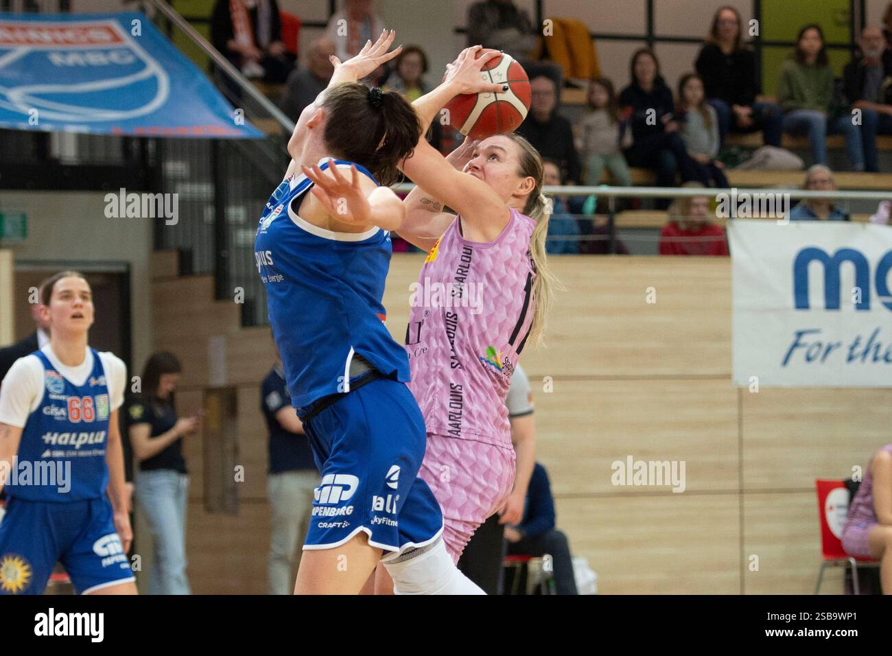 Halle, Deutschland. 01st Feb, 2025. Halle, Deutschland 01. Februar 2025 ...