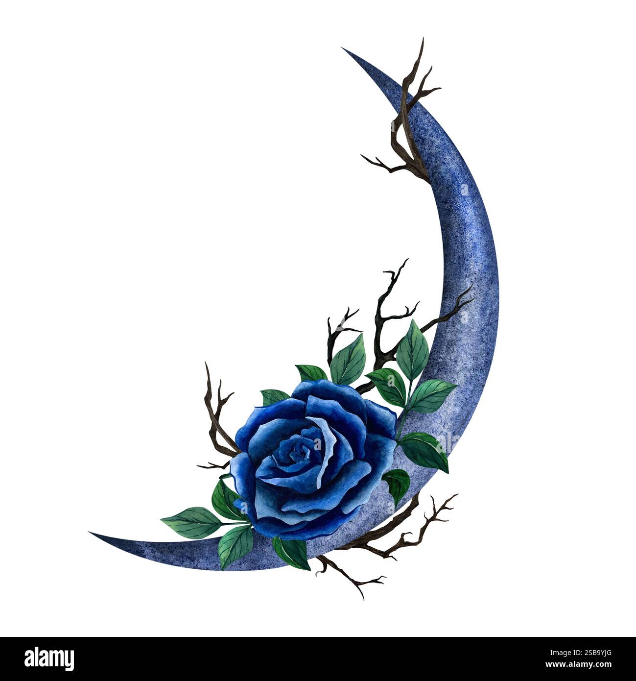 New moon with dark blue roses and branches. Watercolor illustration on ...