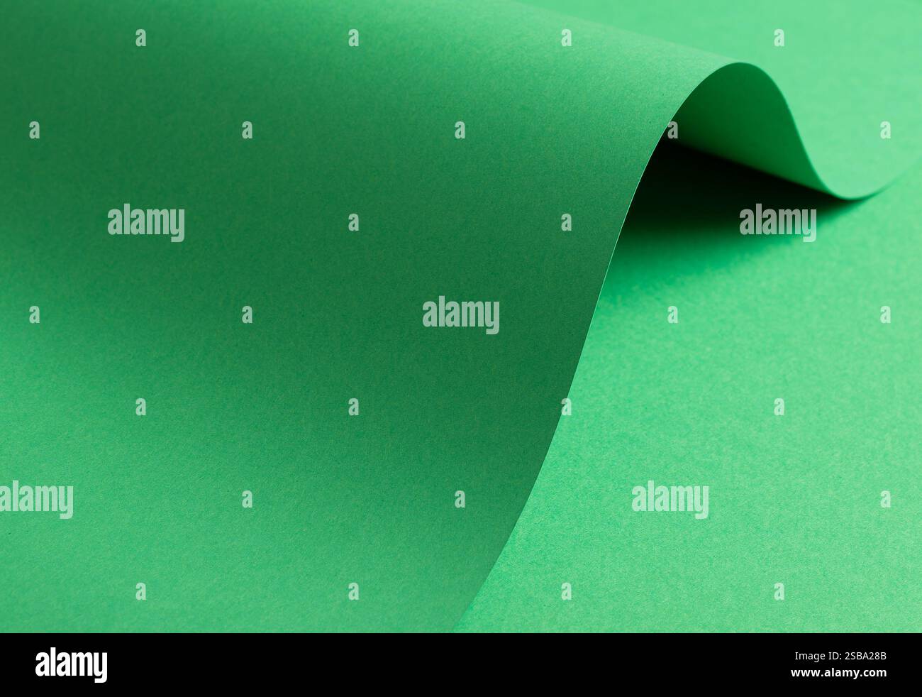 Eden green paper background with a smooth matte finish and flowing ...