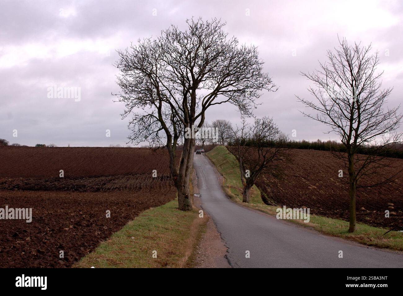 Danish country gunderoed Denmark Dece.11,2005 .(Photo by Francis Dean ...