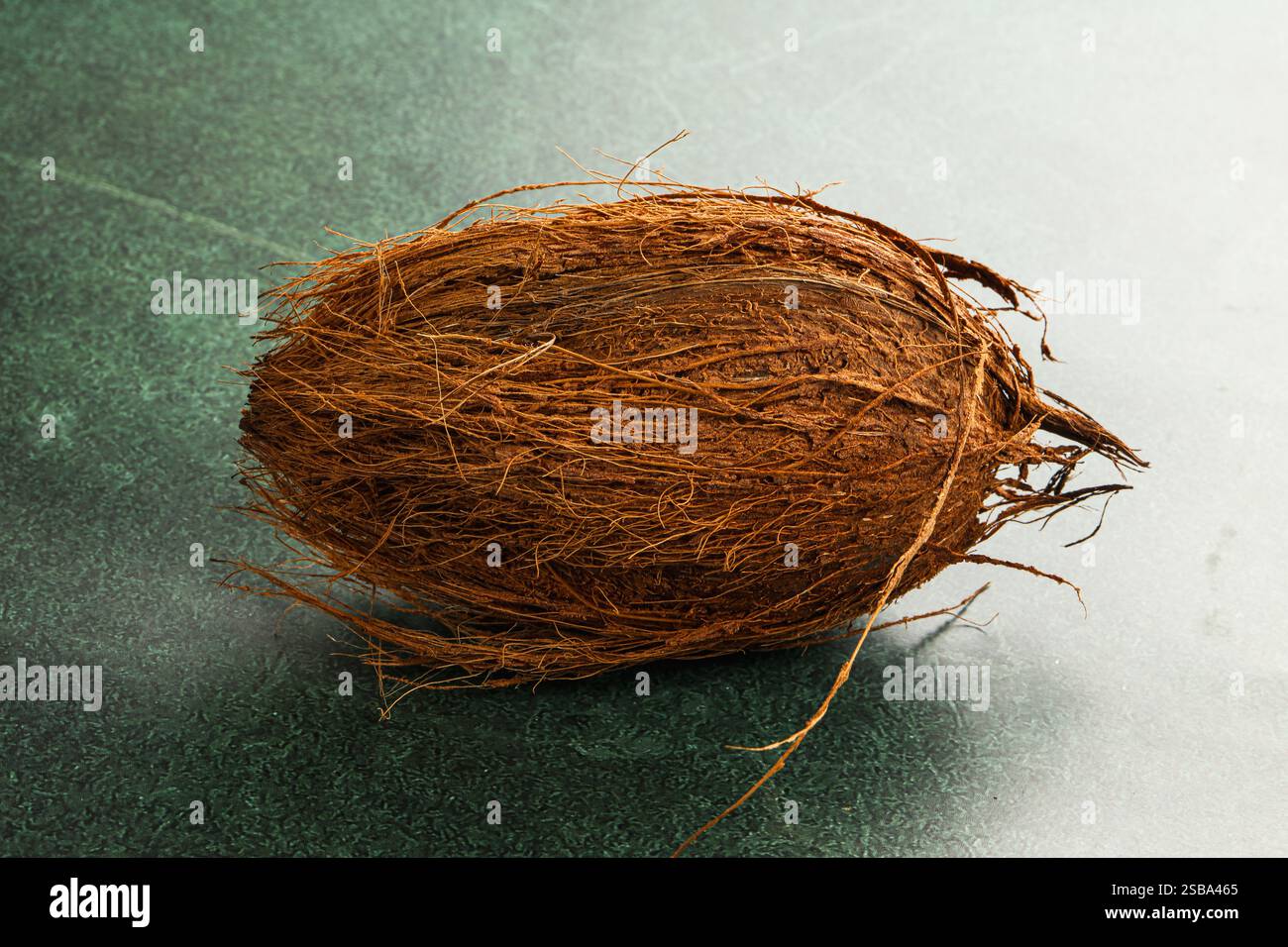 Natural exotic brown hairy coconut with shell Stock Photo - Alamy