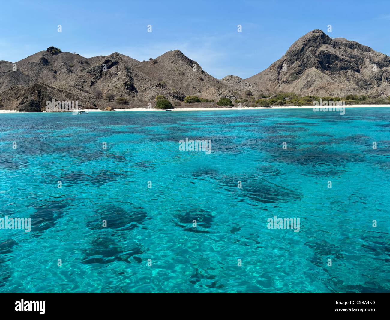 Blue water at pink beach of Komodo Islands with corals and mountain ...