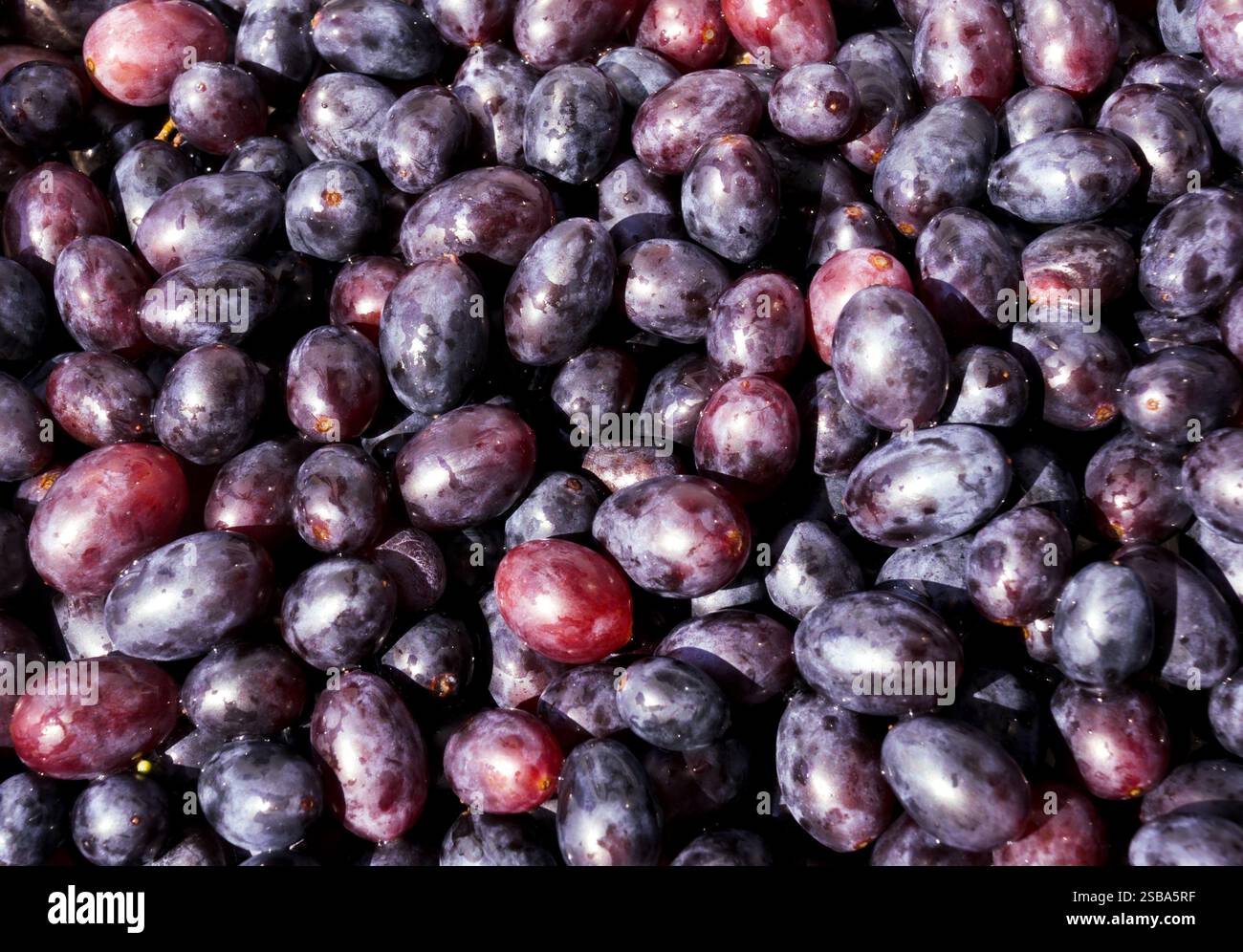 Grapes after washing. Clean cores of ripe grapes. Top view. Grape ...