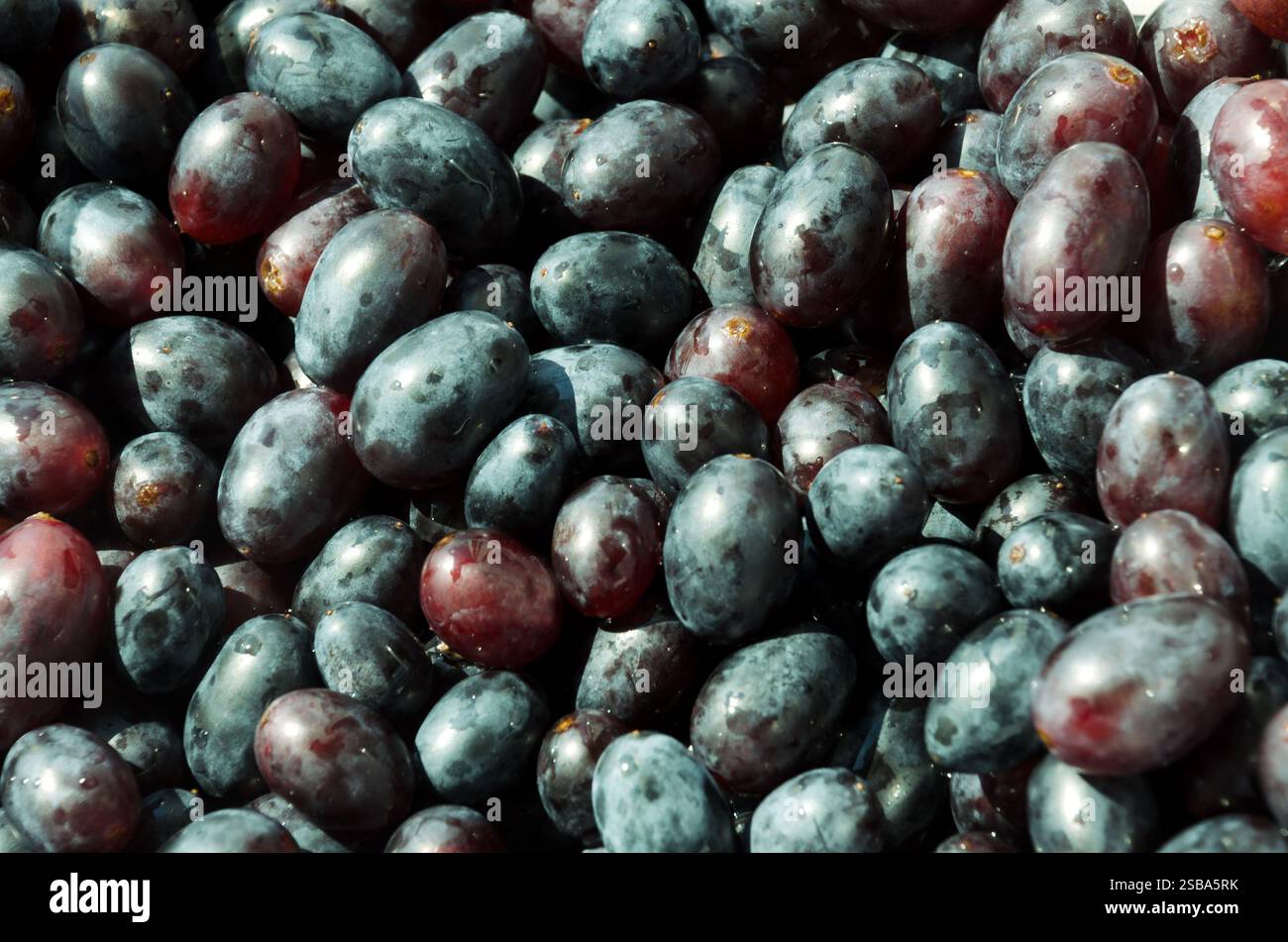Grapes after washing. Clean cores of ripe grapes. Top view. Grape ...