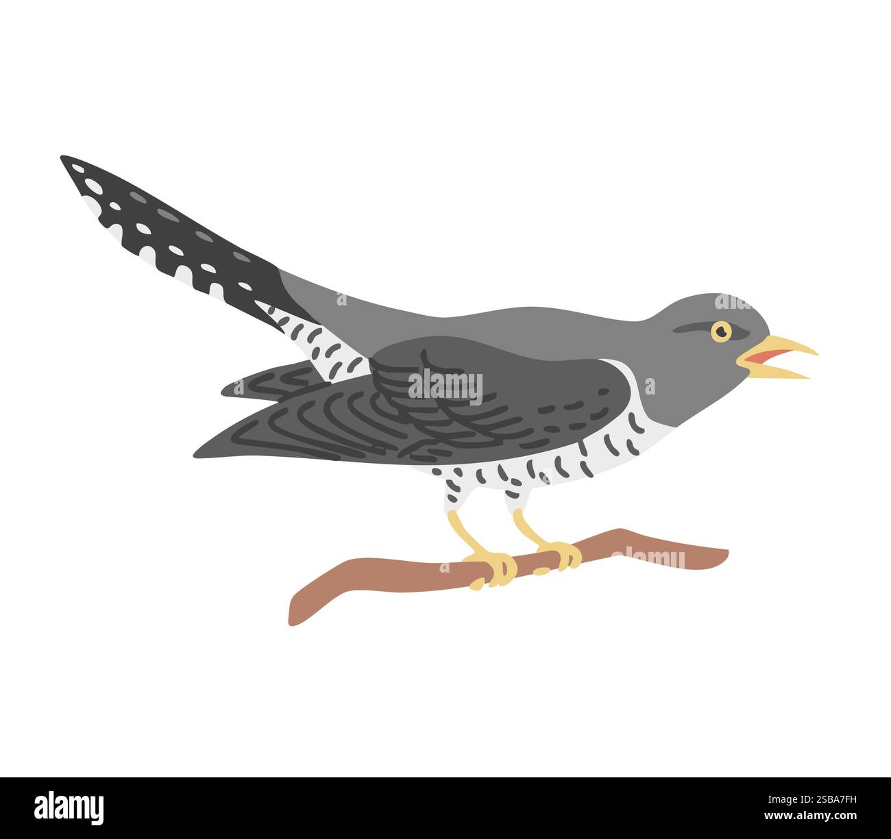 Forest bird cuckoo. Flying feathered. Animals, nature and ornithology ...