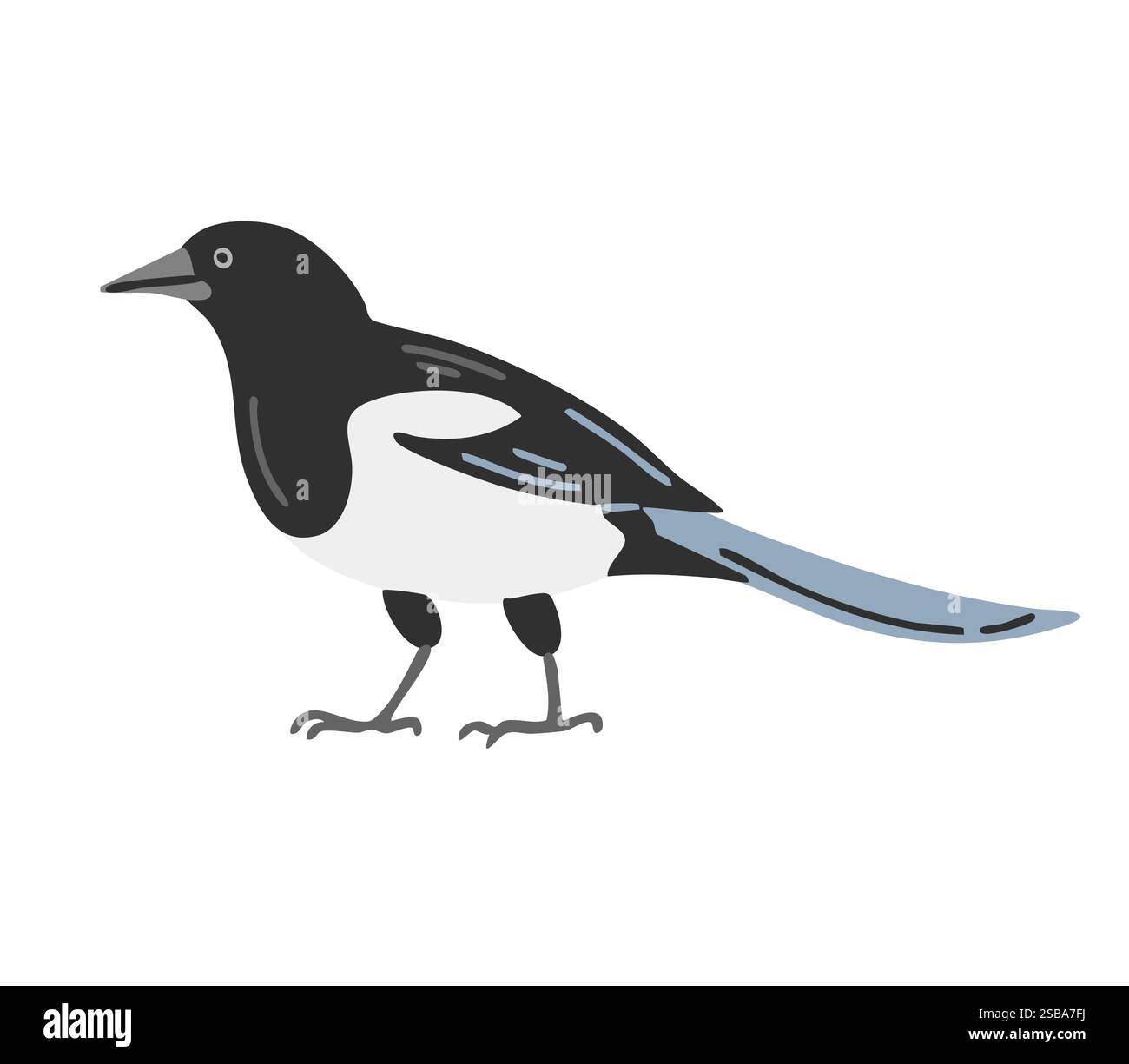 Magpie bird. Flying feathered. Animals, nature and ornithology. Cartoon ...