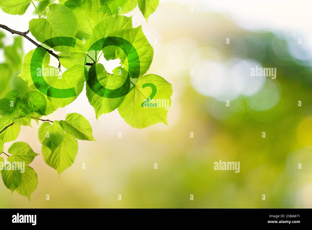 The issue of carbon dioxide emissions, global warming, sustainable ...