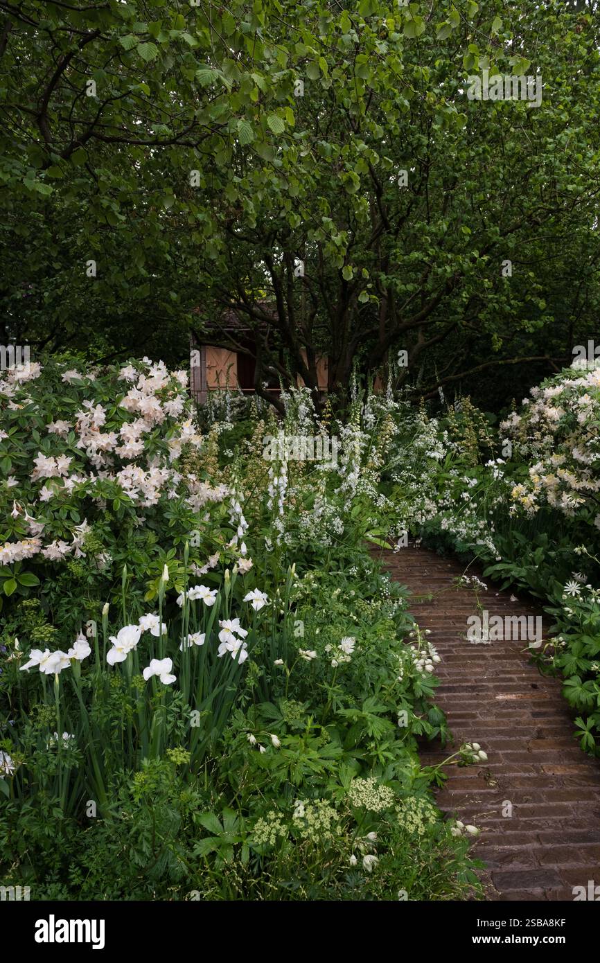 The National Garden Scheme Garden designed by Tom Stuart-Smith, RHS ...