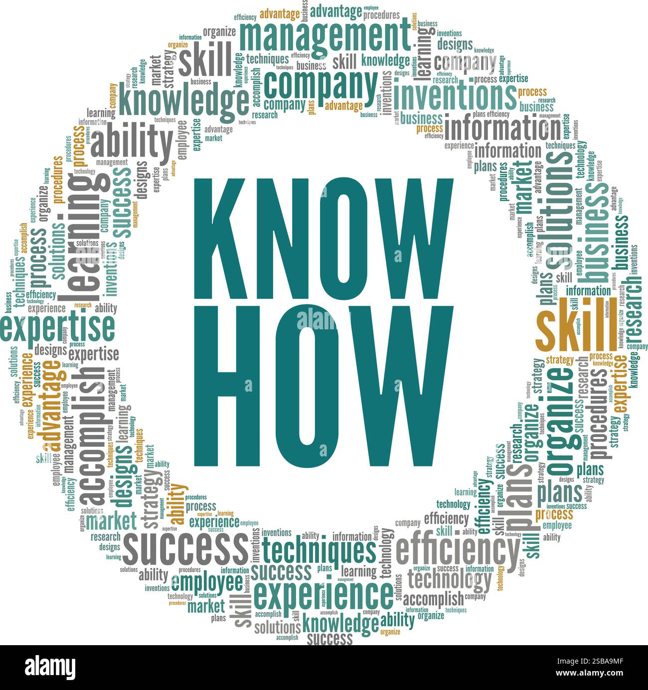 Know How word cloud conceptual design isolated on white background ...