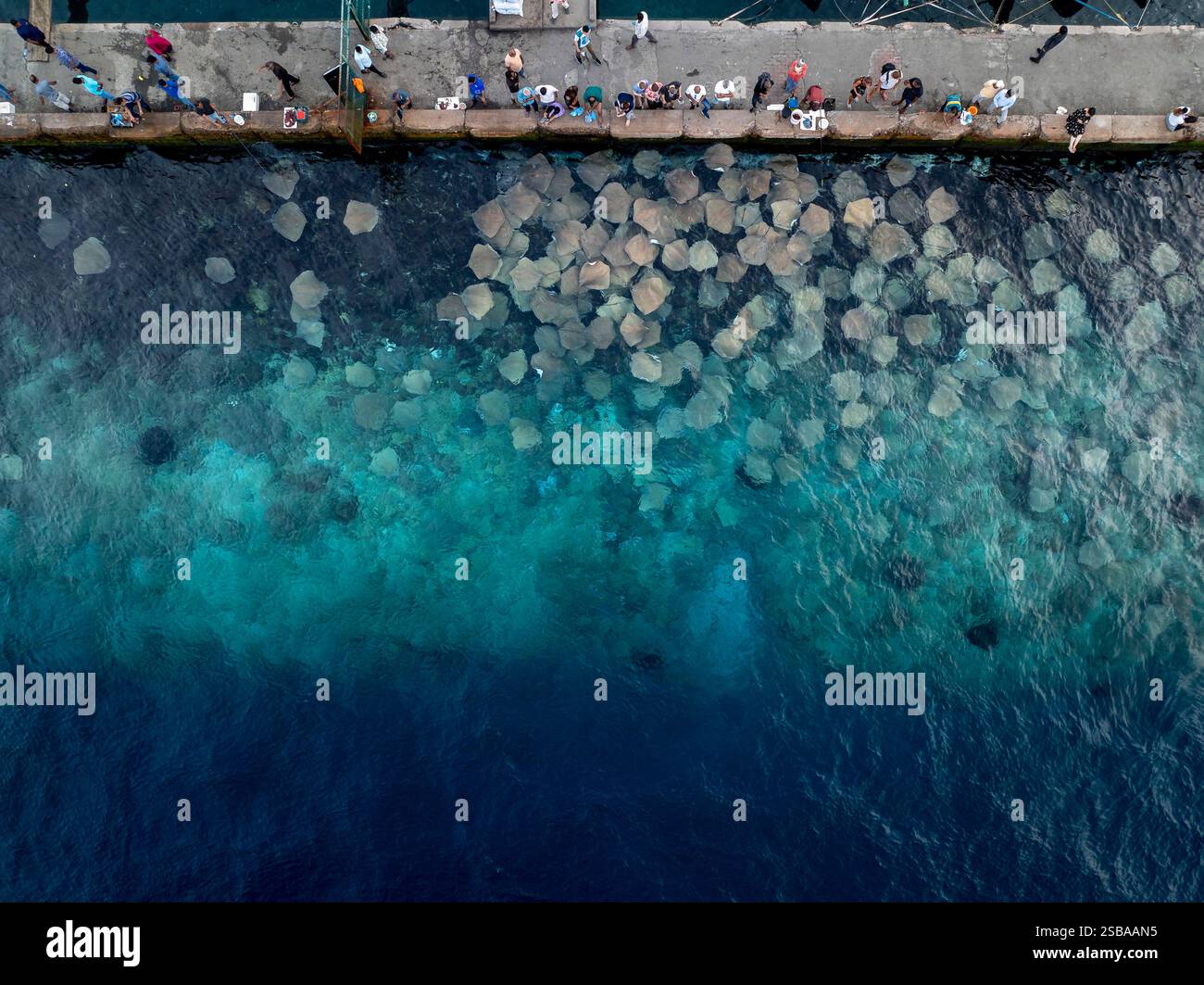 Stingray watching point in Malé city, maldives islands. Next to the ...
