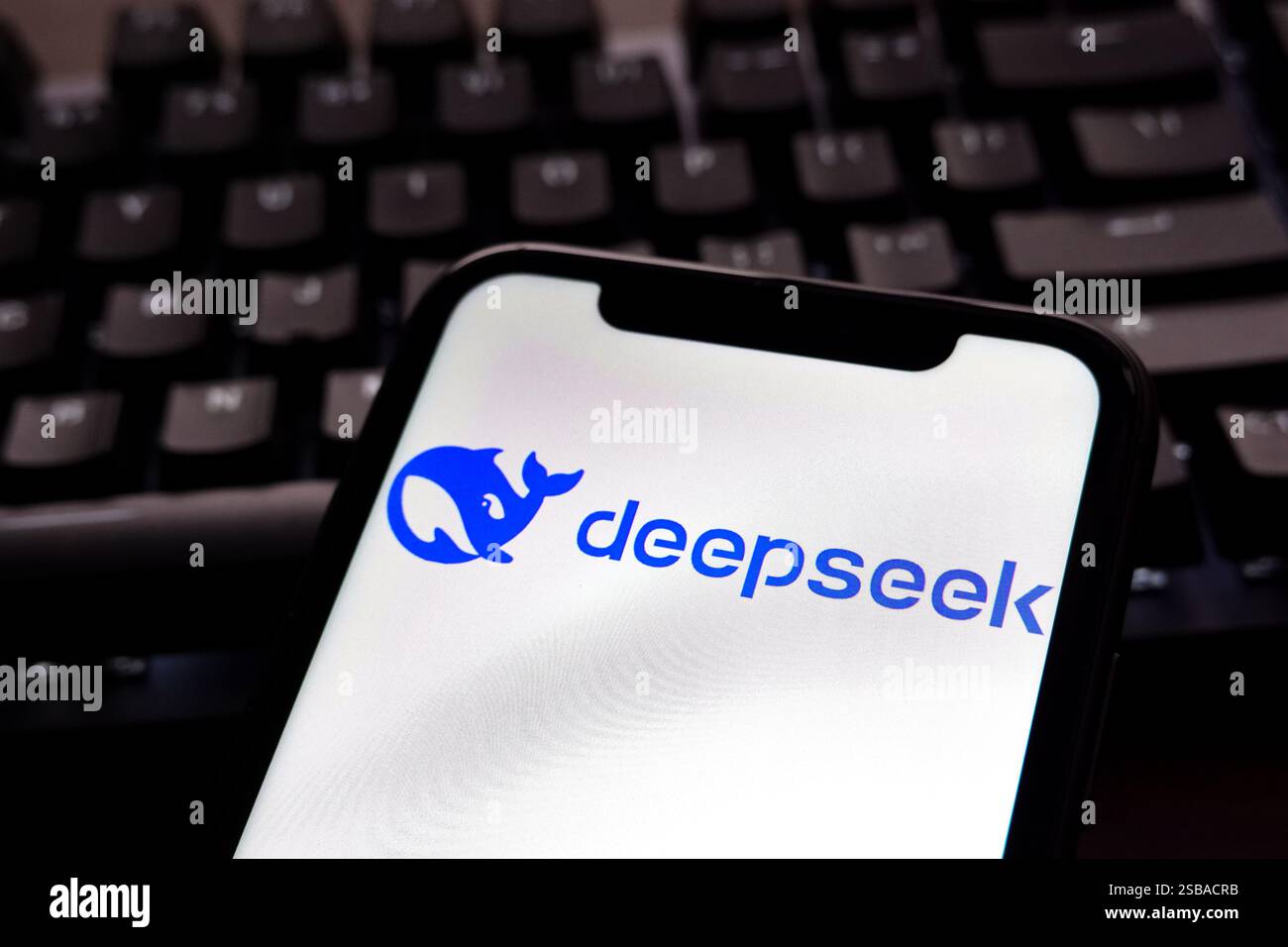 In this photo illustration, a Deepseek logo is displayed on the screen ...