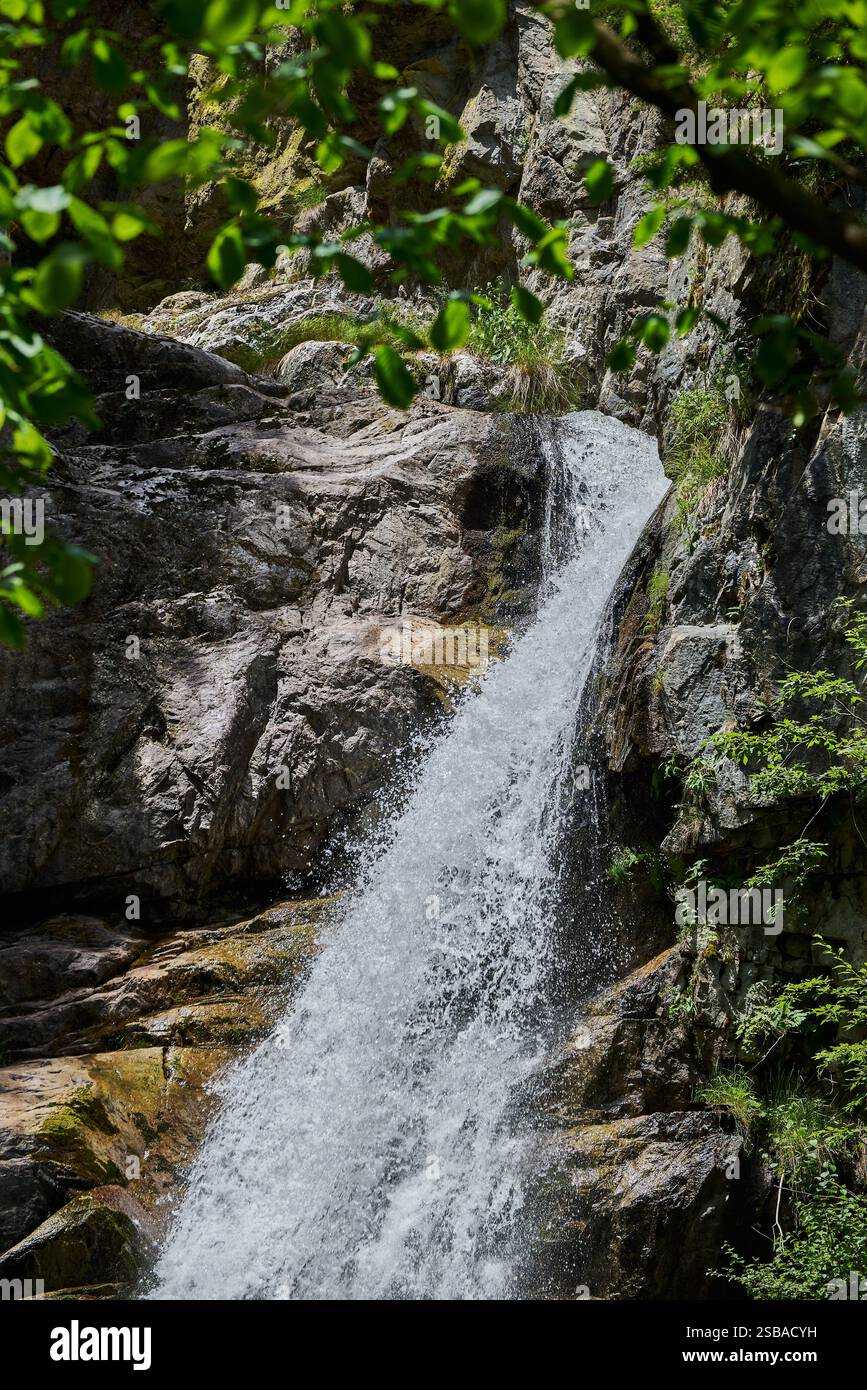 Photography of trees, Maria (Mary) river and Marii waterfall in the ...