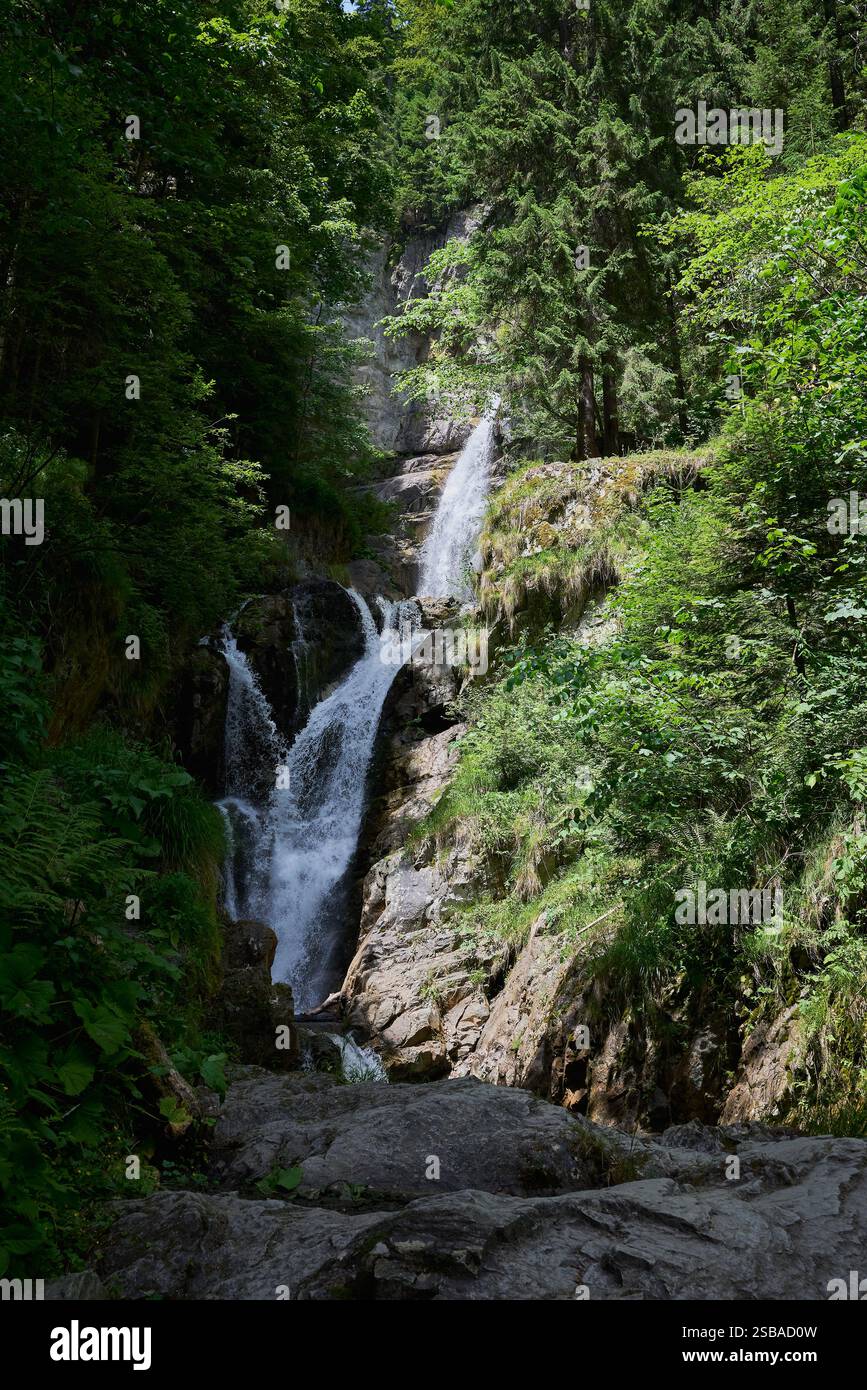 Photography of trees, Maria (Mary) river and Marii waterfall in the ...
