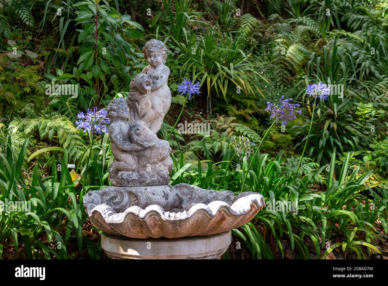 Old fountain with statue of angels. Fresh greenery around. Tropical ...