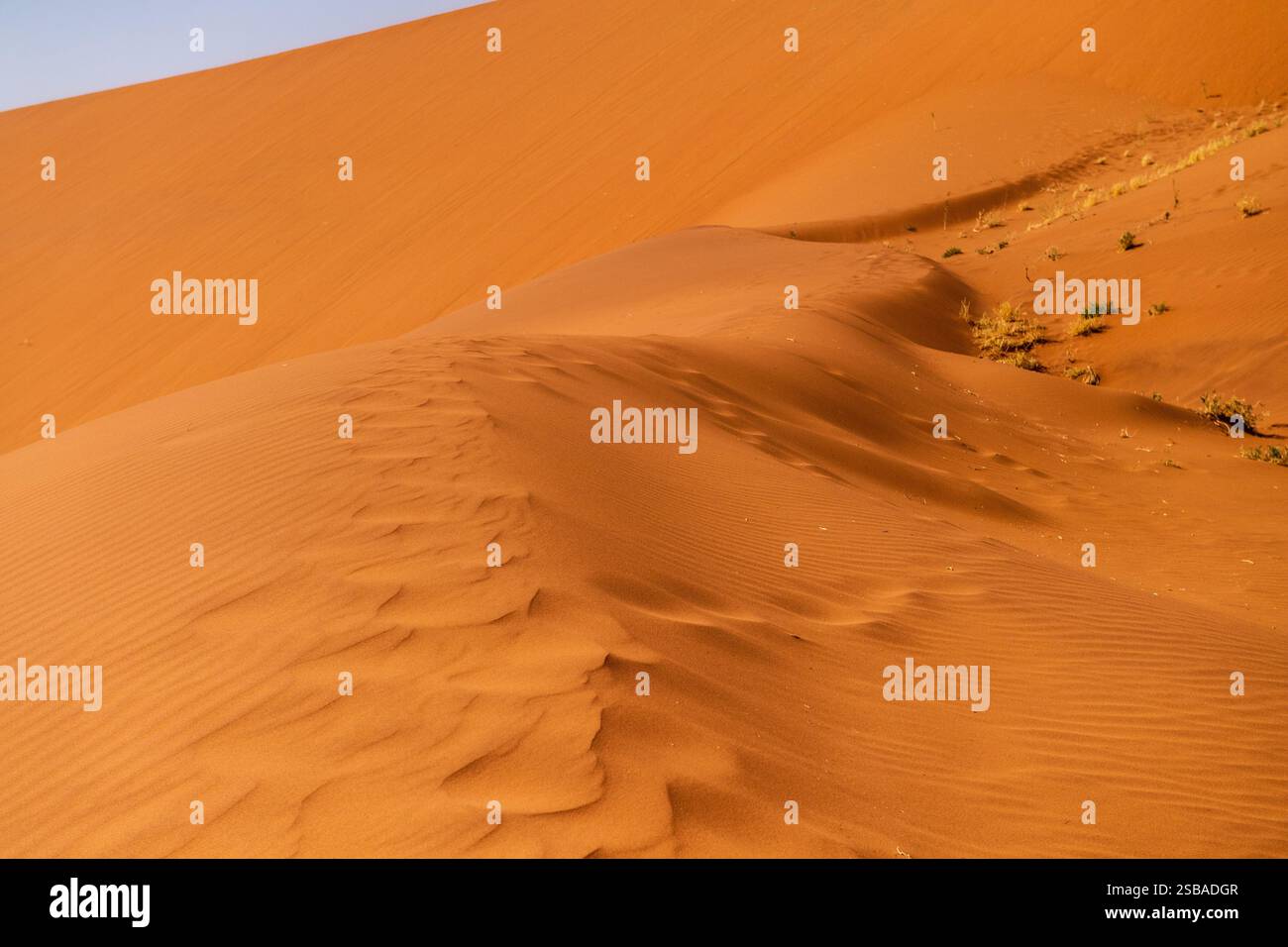 Impression of the massive sanddunes that comprise the Sossusvlei of ...