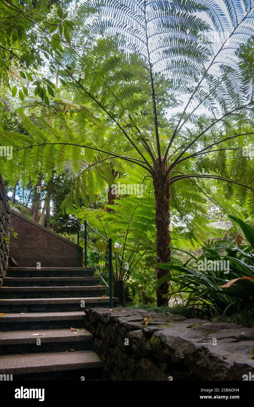 Fresh plants and trees, growing in a botanical garden in a spring ...