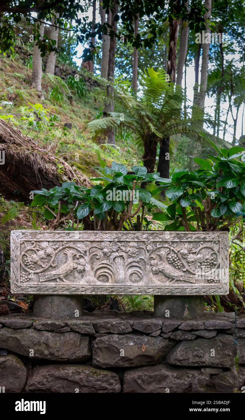 Details of the architecture among fresh greenery of the tropical ...