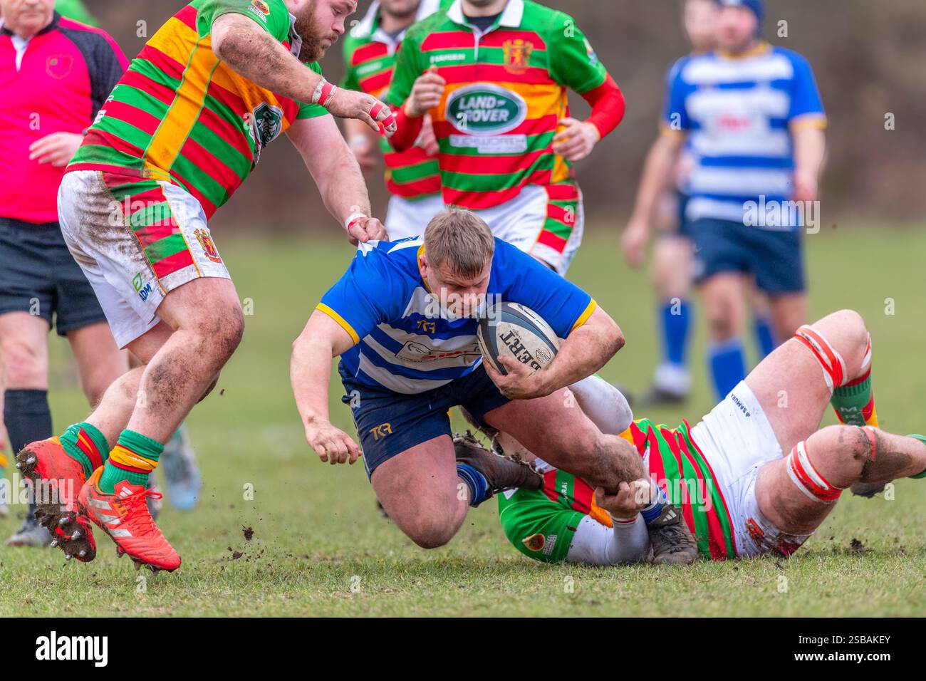 English mens amateur Rugby Union players playing in a league game Stock ...