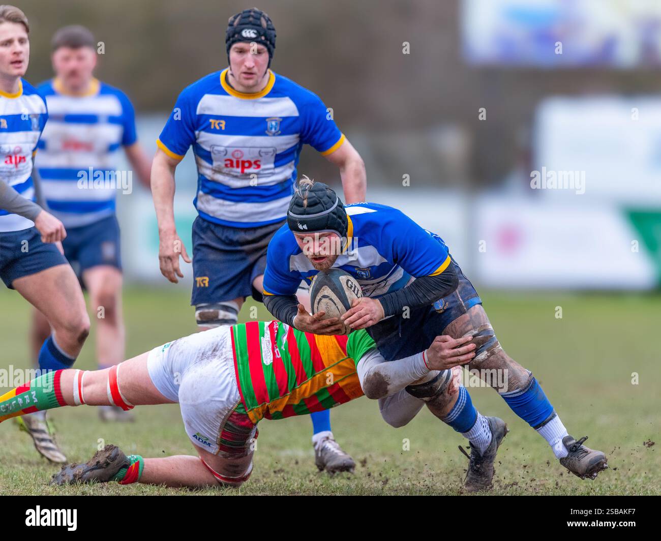 English mens amateur Rugby Union players playing in a league game Stock ...