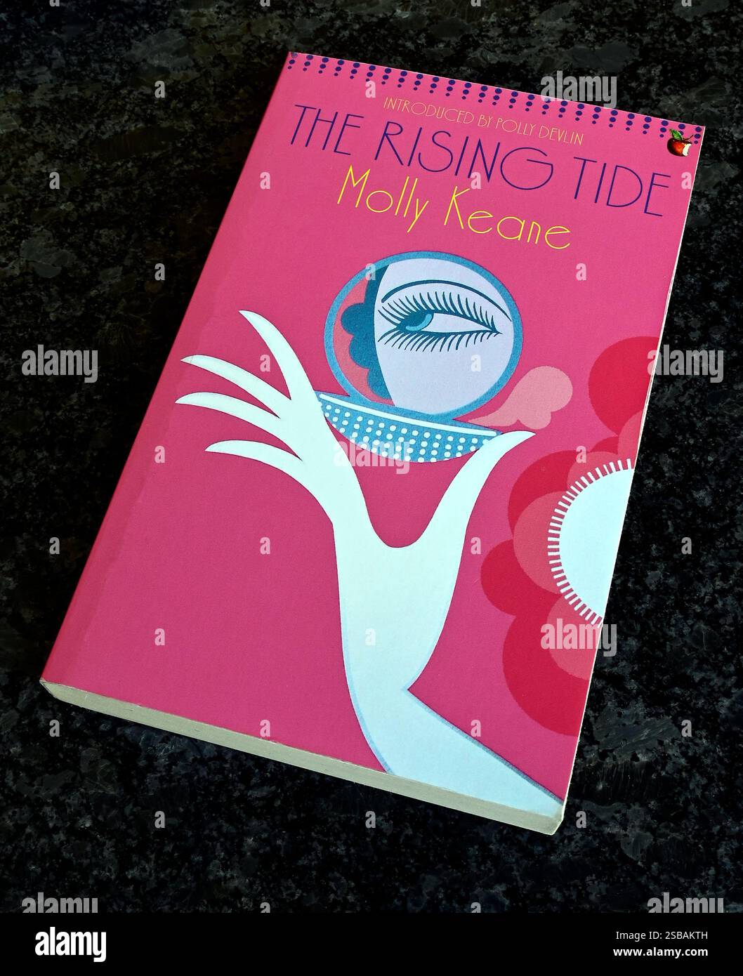 Book cover. "The Rising Tide" by Molly Keane Stock Photo - Alamy