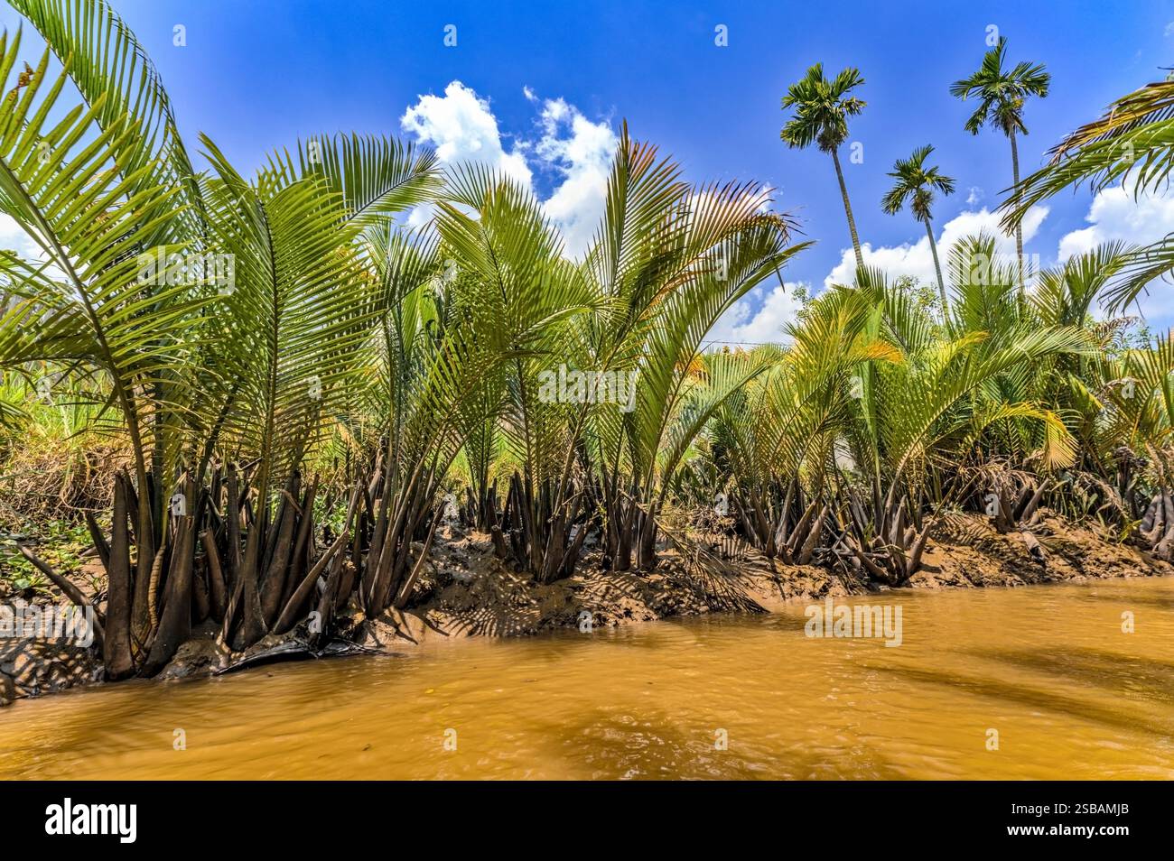 Beautiful Scenery of Mekong Delta, Vietnam Stock Photo - Alamy