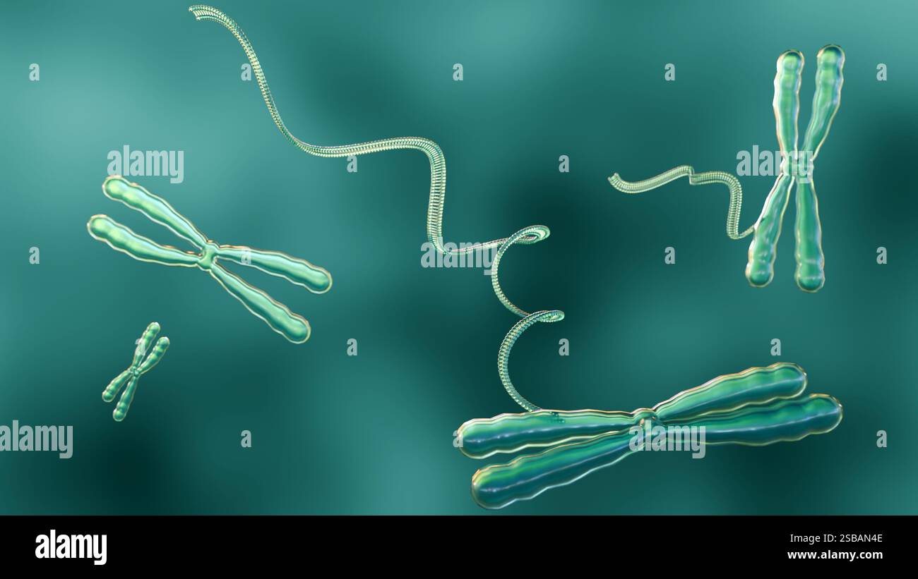 A 3D rendering shows a close-up view of the microscopic world of DNA ...