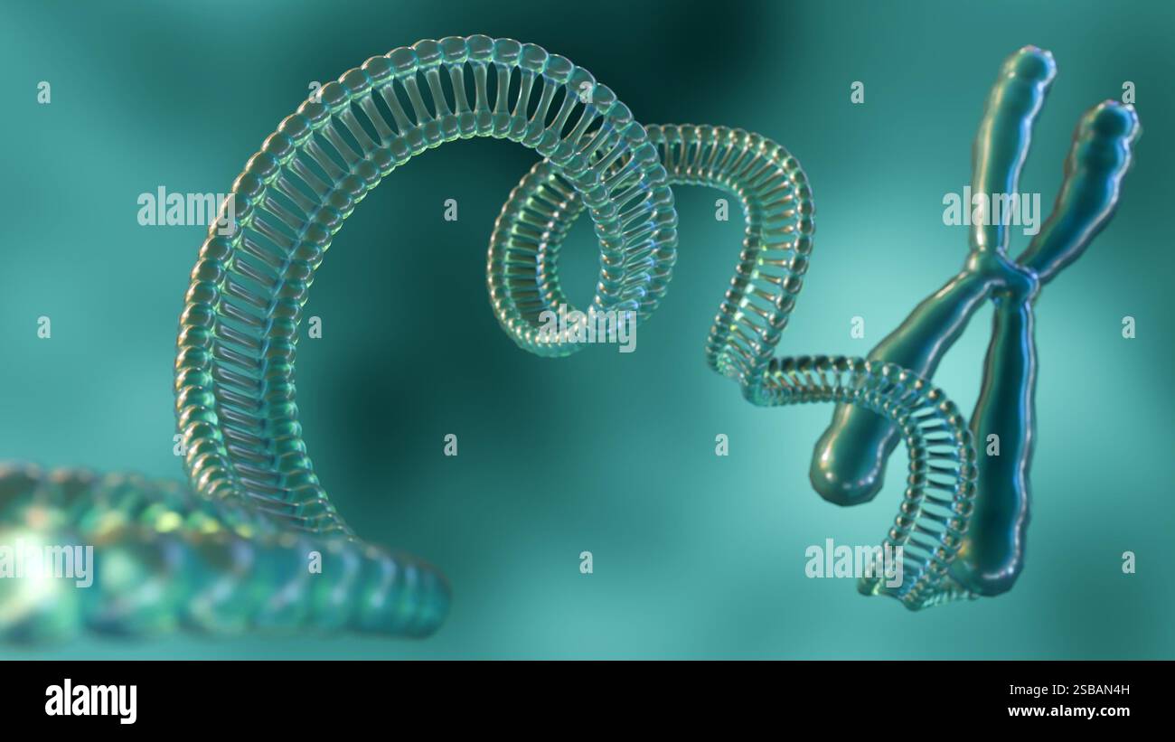 A 3D rendering shows a close-up view of the microscopic world of DNA ...