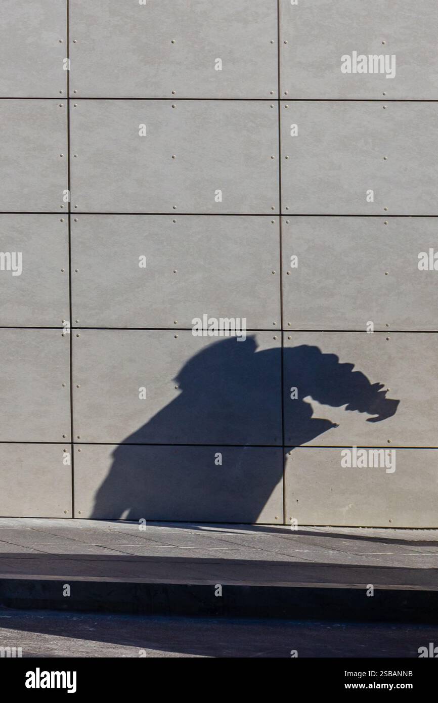 Shadow of a Figure Cast on a Modern Concrete Wall Surface Stock Photo ...