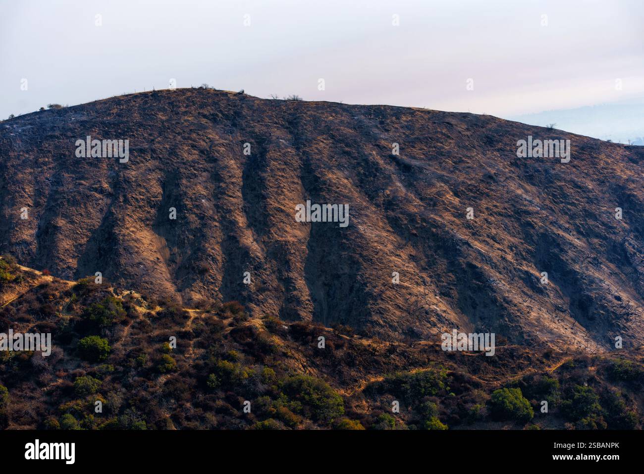 Rugged contours of a burnt hillside in Runyon Canyon, showcasing the ...